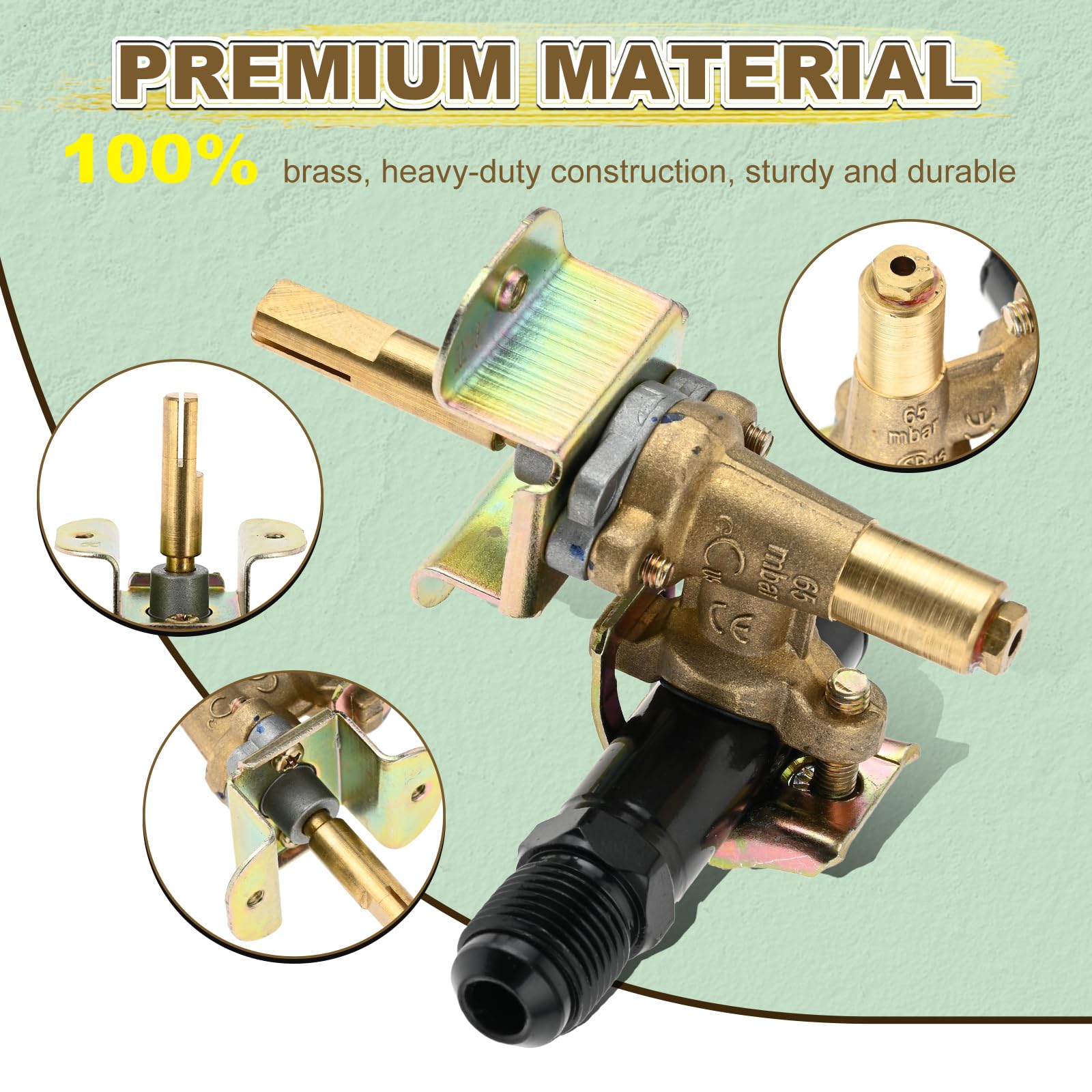 Snapklik.com : Lemfema Natural Gas Conversion Control Valve Kit