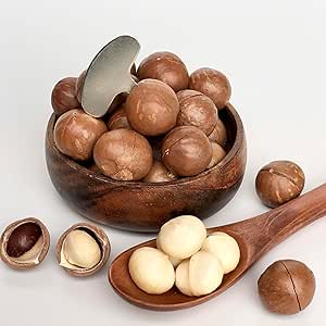 Amazon.co.jp: [ 専用ピン付き殻割り楽々 ] ロースト 殻付きマカダミアナッツ 500g サイズ22~25mm 無添加 無塩 無植物油 ベトナム産 マカダミア ナッツ 殻付き ...