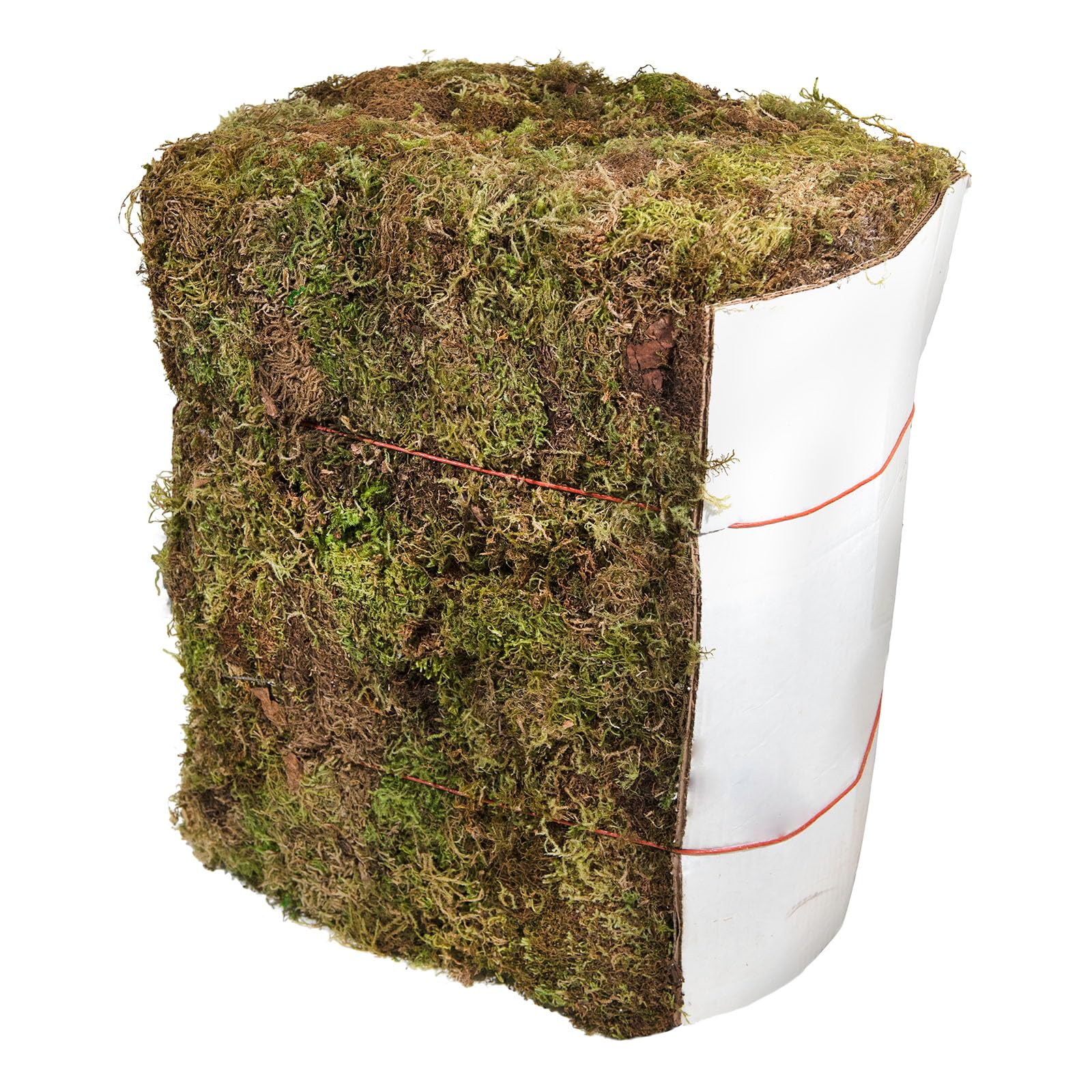 Amazon.com: SuperMoss 7 59834 21706 0 Moss, Appx. 25 lb Bale, Natural ...