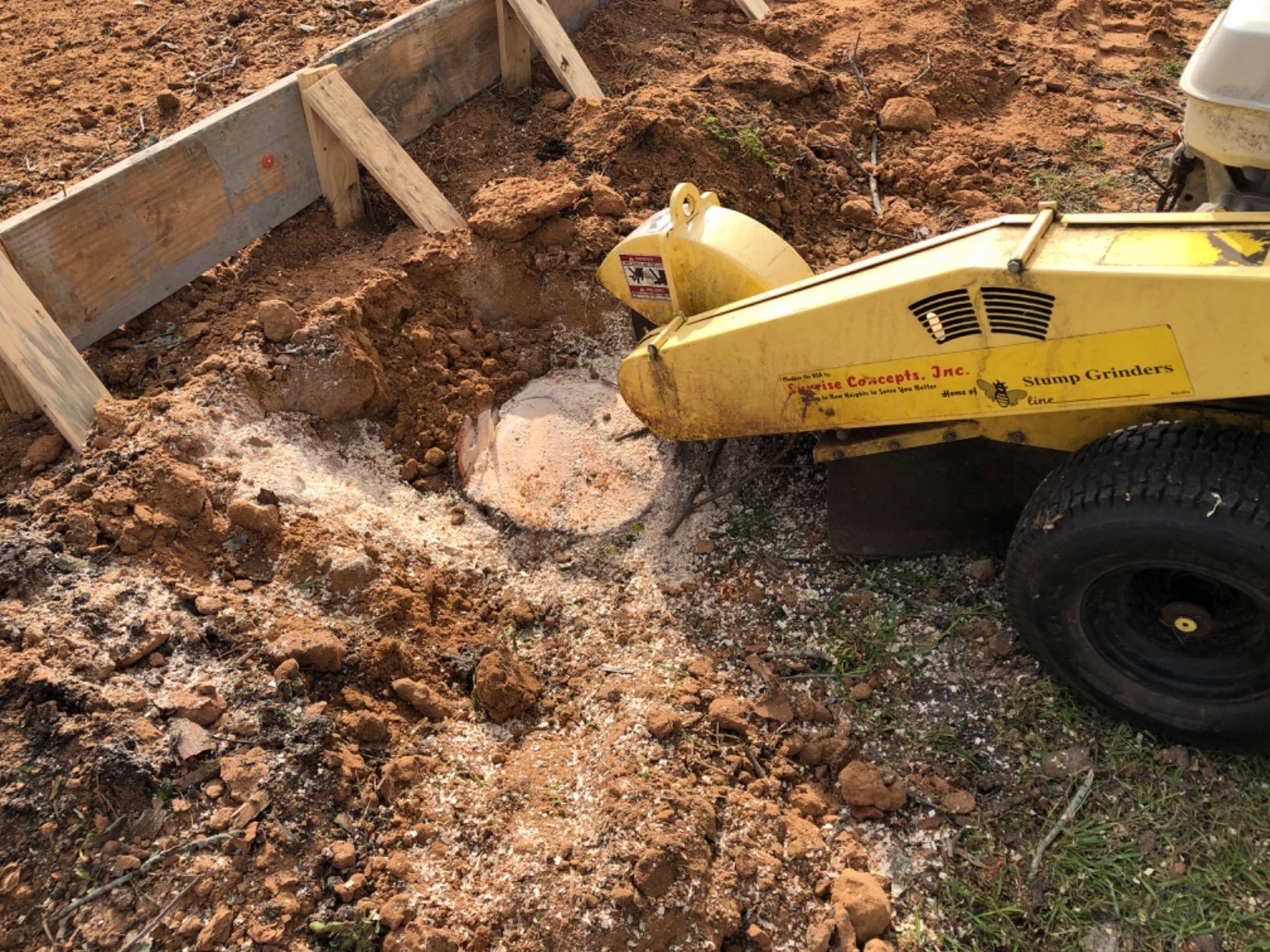 500 Series Greenteeth 10 Pack (Green): Amazon.com: Tools & Home Improvement