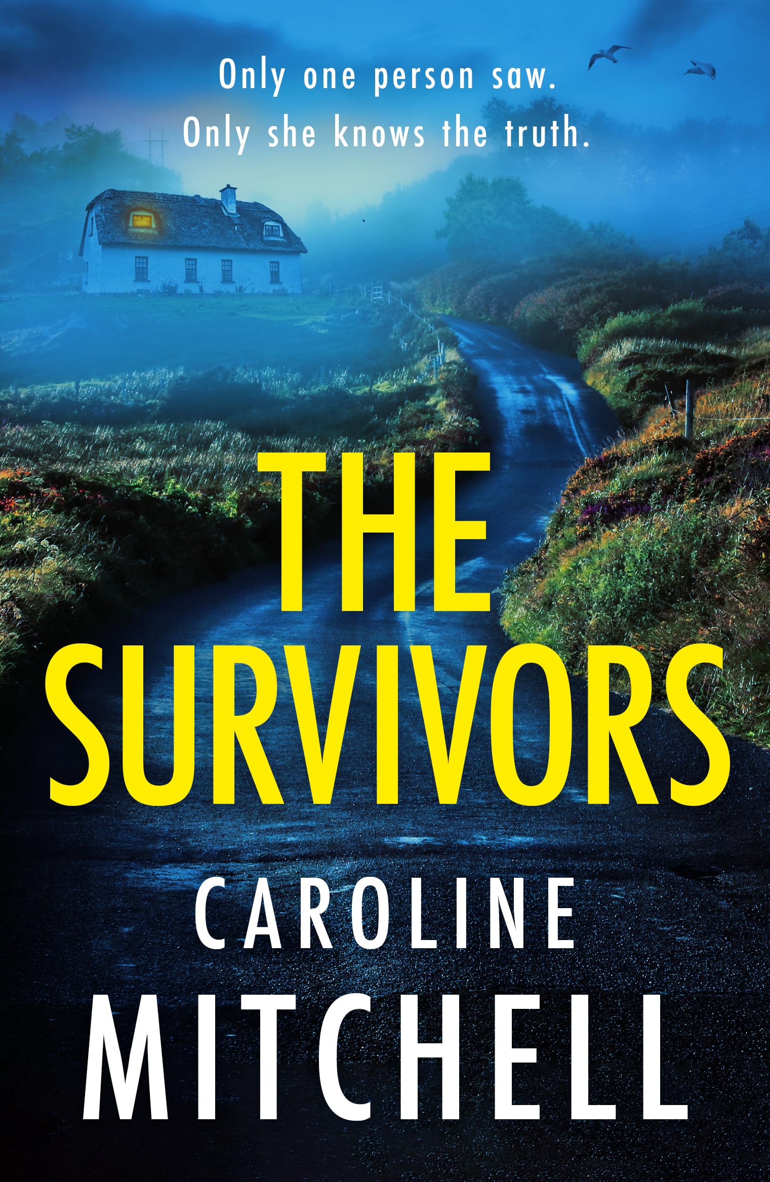 Amazon.com: The Survivors: 9781662524592: Mitchell, Caroline: Books