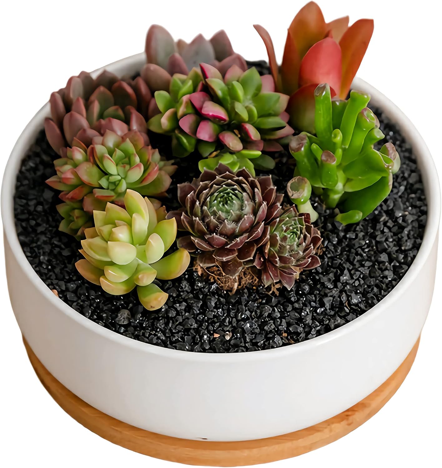 Amazon.com: SJBAG Cute Circular Ceramic Home Garden Decoration ...