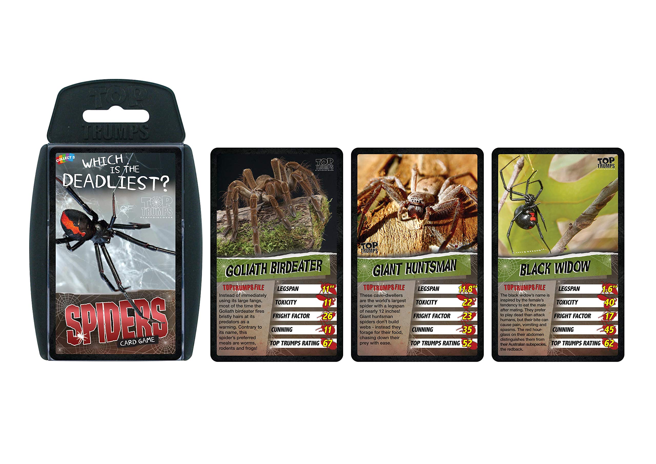 Snapklik.com : Card Game Spiders - Family Games For Kids And Adults ...