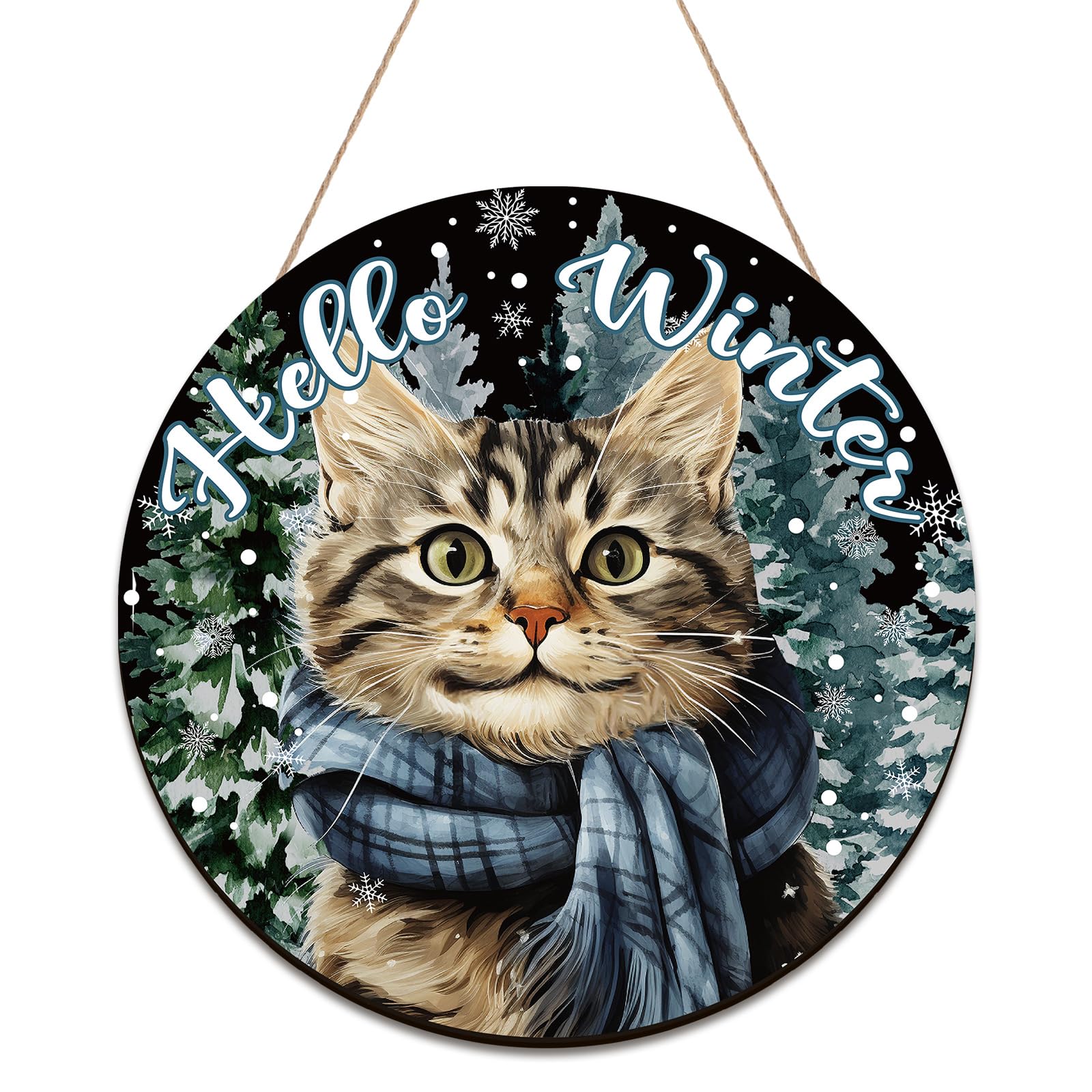 Amazon.com: Hello Winter Welcome Door Sign Winter Christmas Door Decor ...