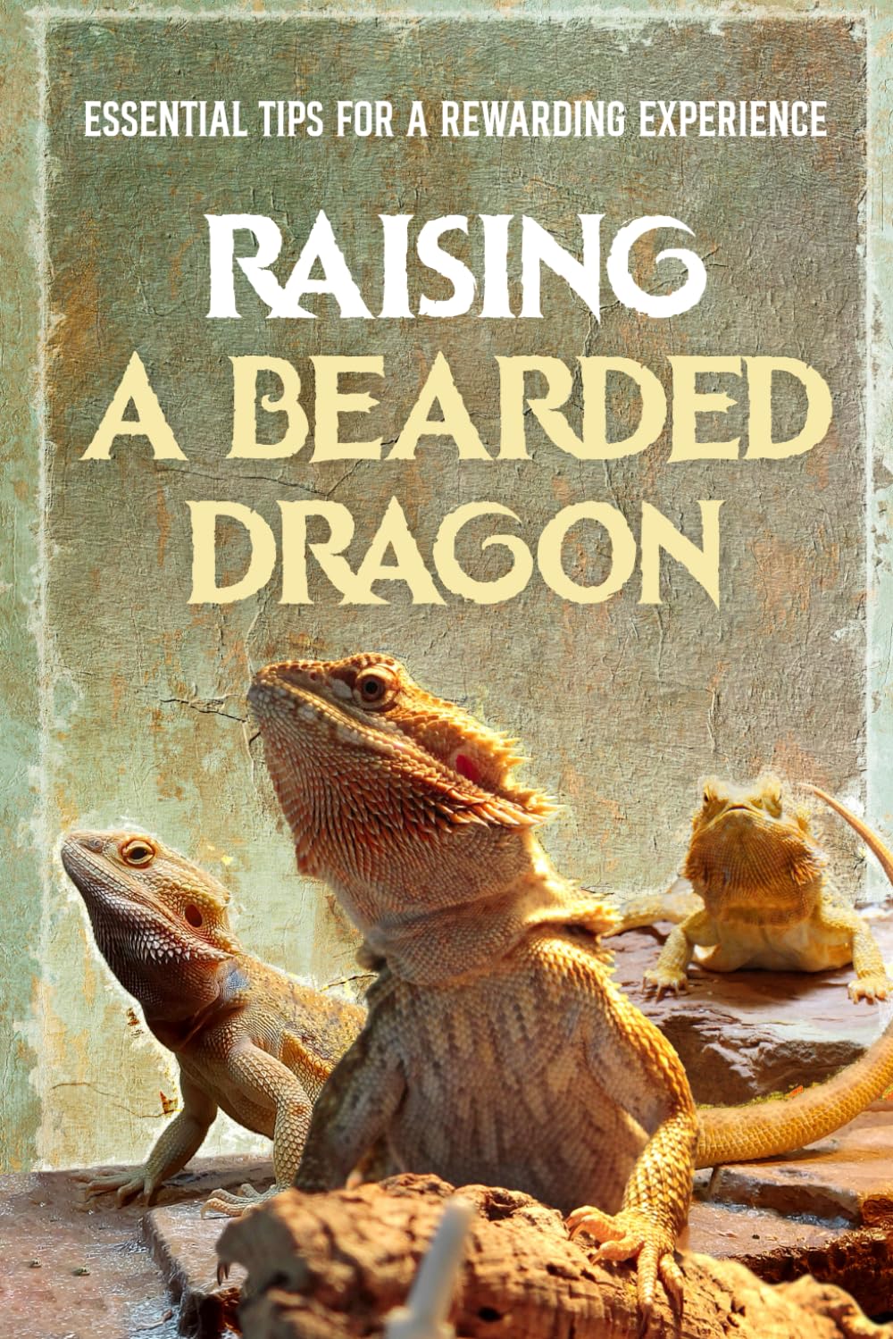 Raising A Bearded Dragon