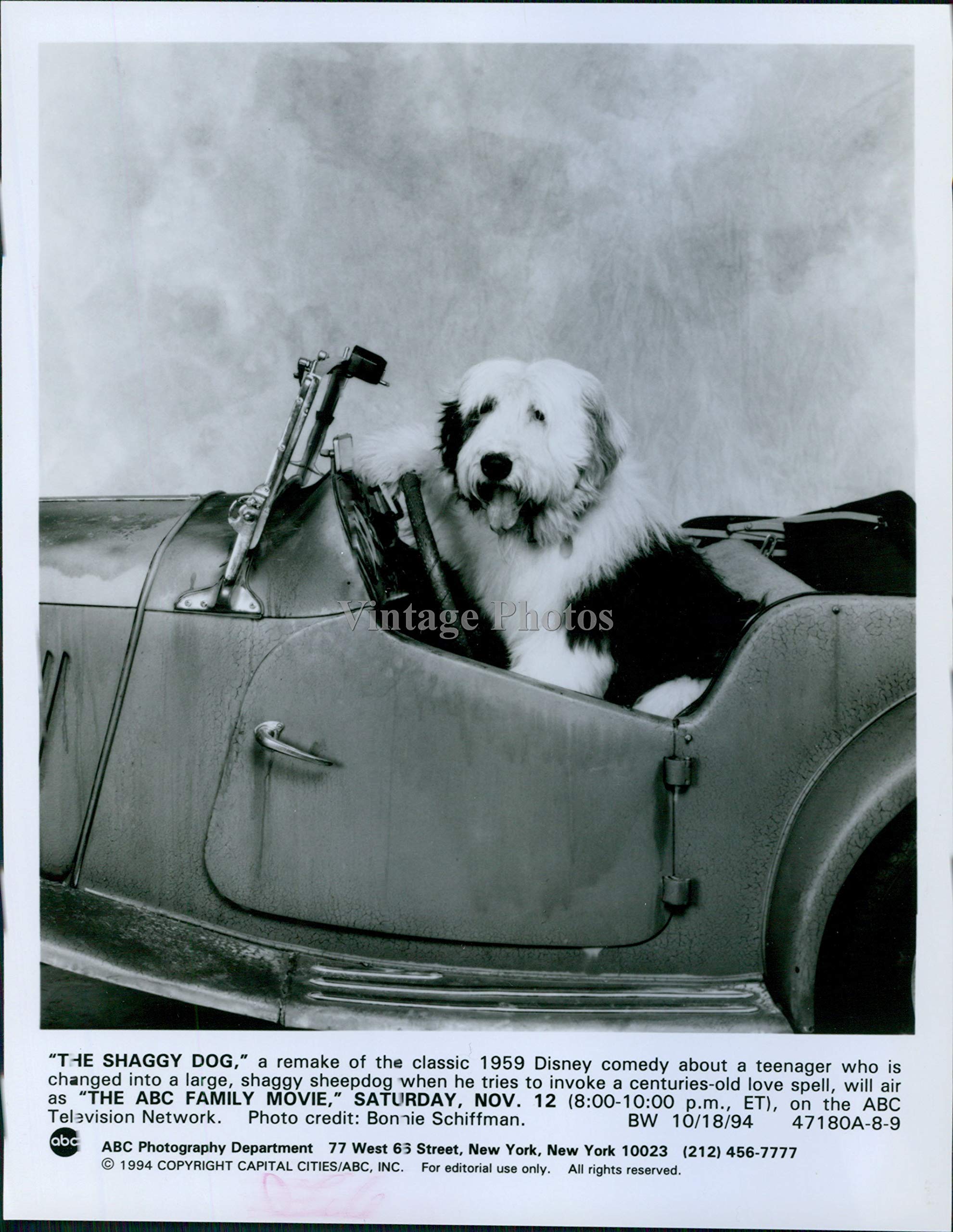 The Shaggy Dog 1994