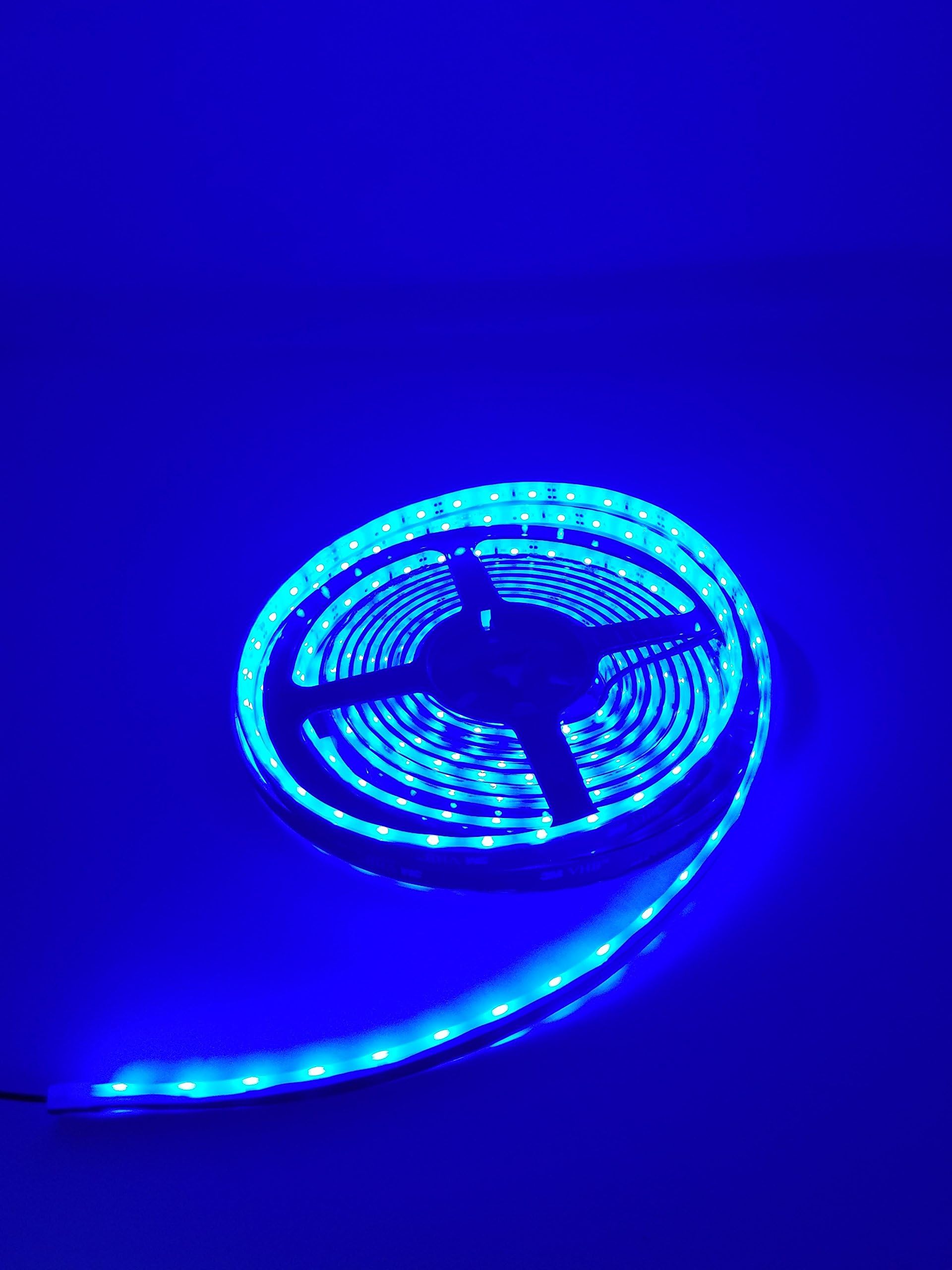 Amazon.com: Marine Submersible LED Light Strip 12V 2ft Blue, LED Rope ...