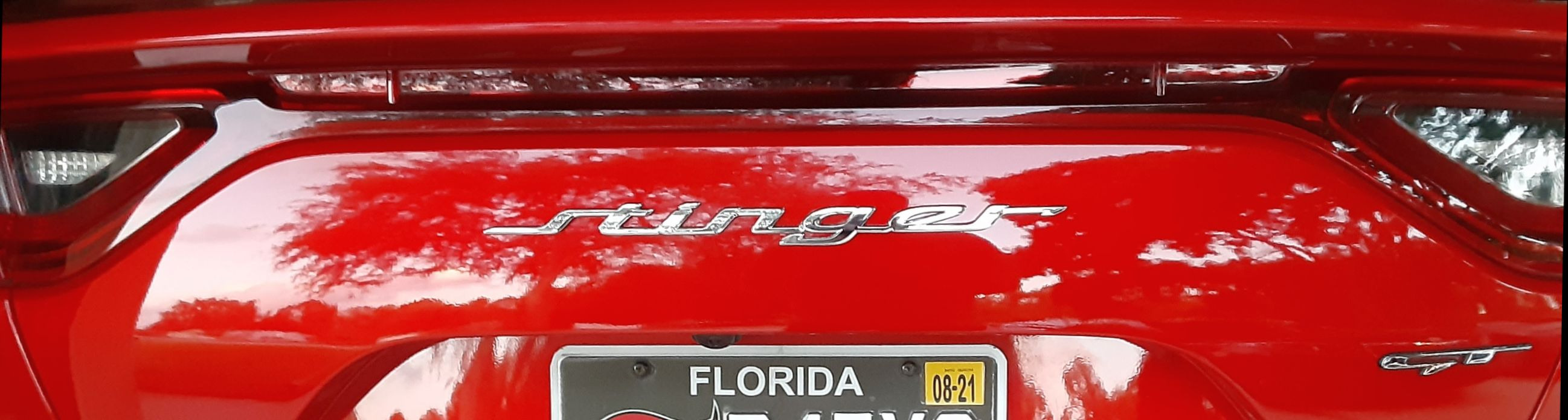 Amazon.com: Genuine OEM Stinger Lettering Emblem Badge For 2017 2018 ...