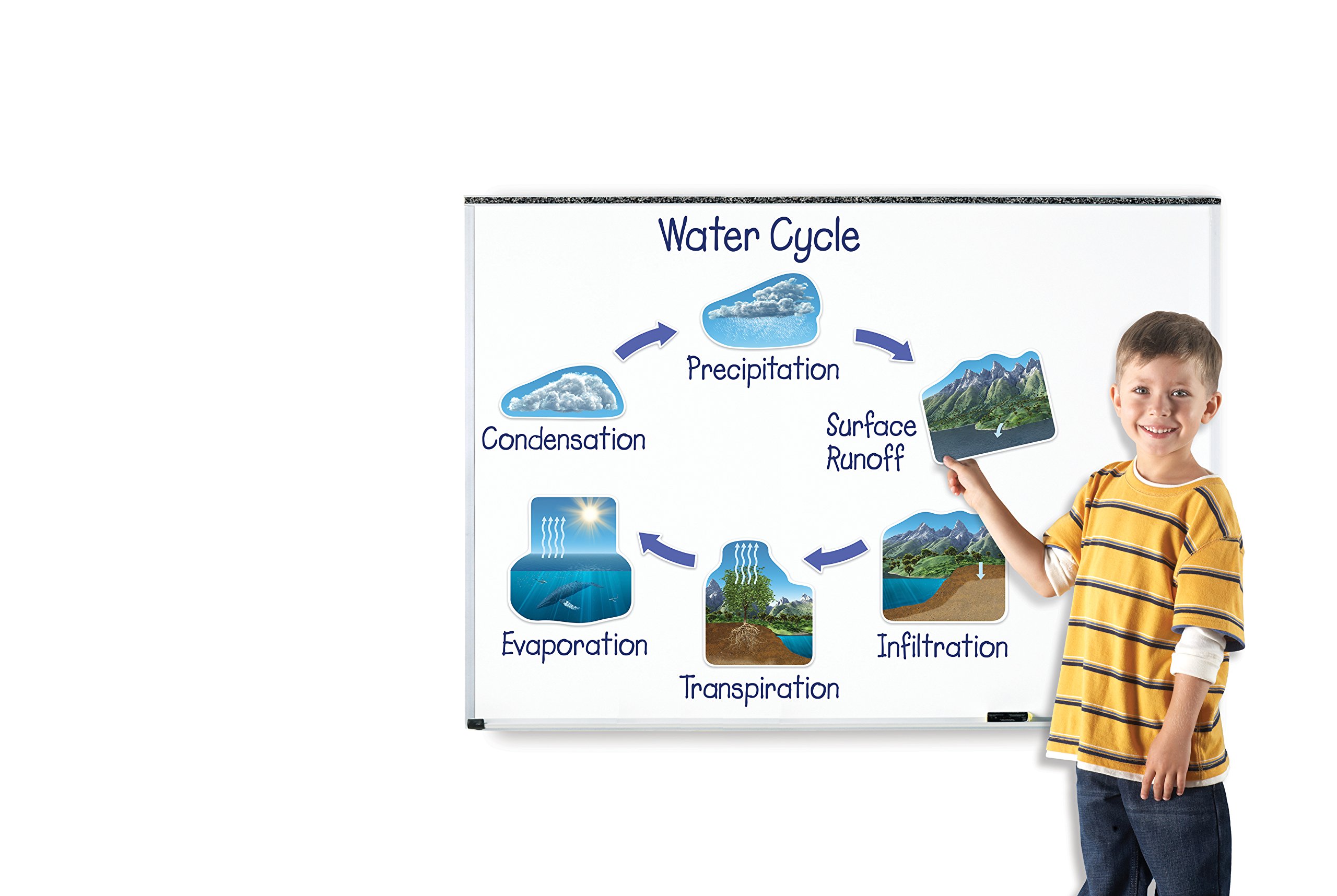 Learning Resources Giant Magnetic Water Cycle – BigaMart