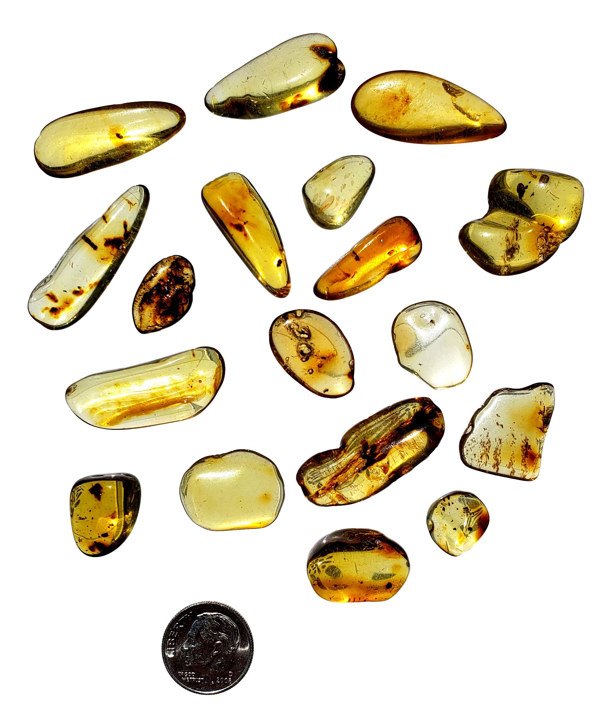 Inclusions Rock