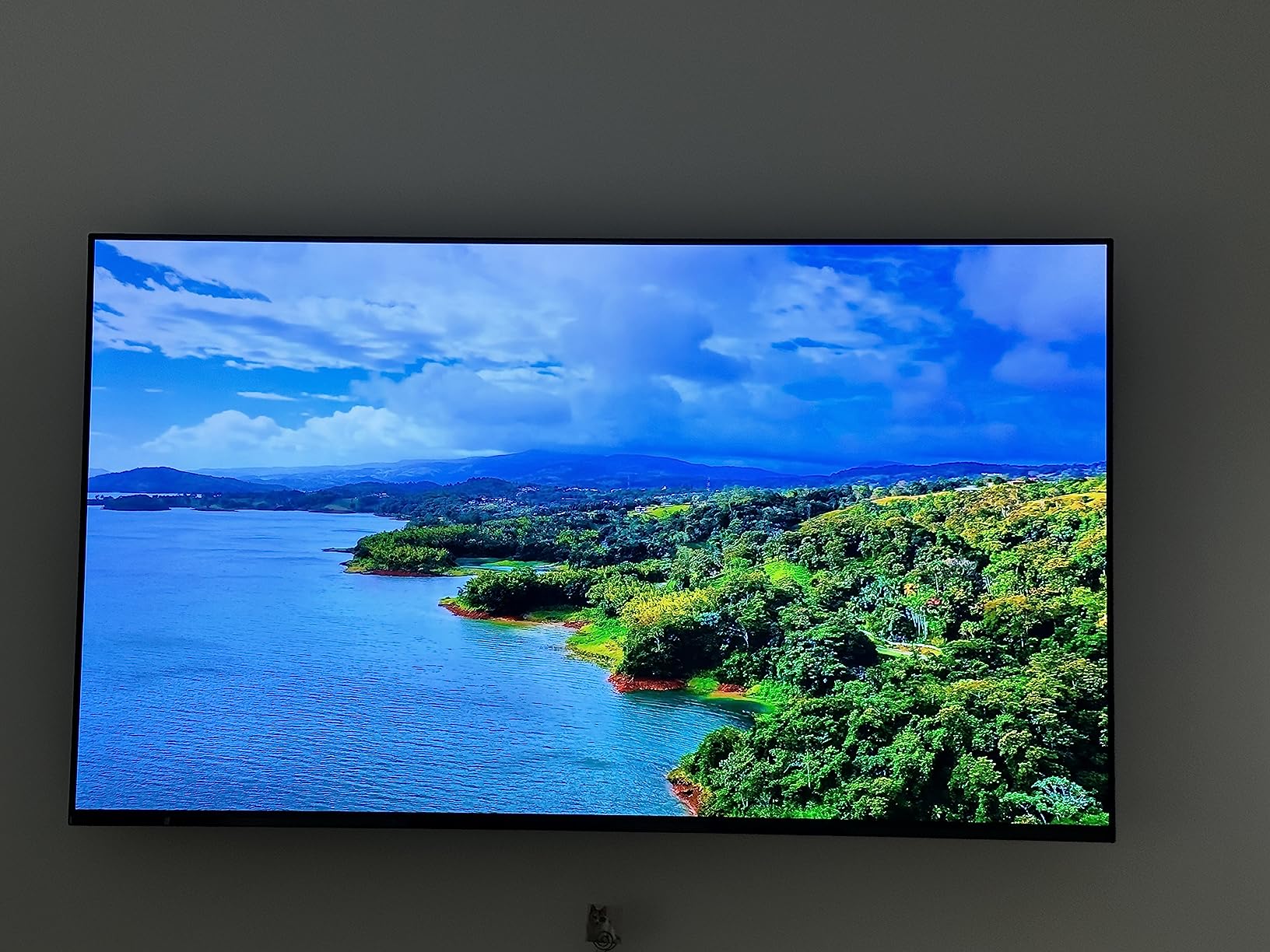 Amazon.com: ASURION 3 Year Floorcare Extended Protection Plan ($60 ...