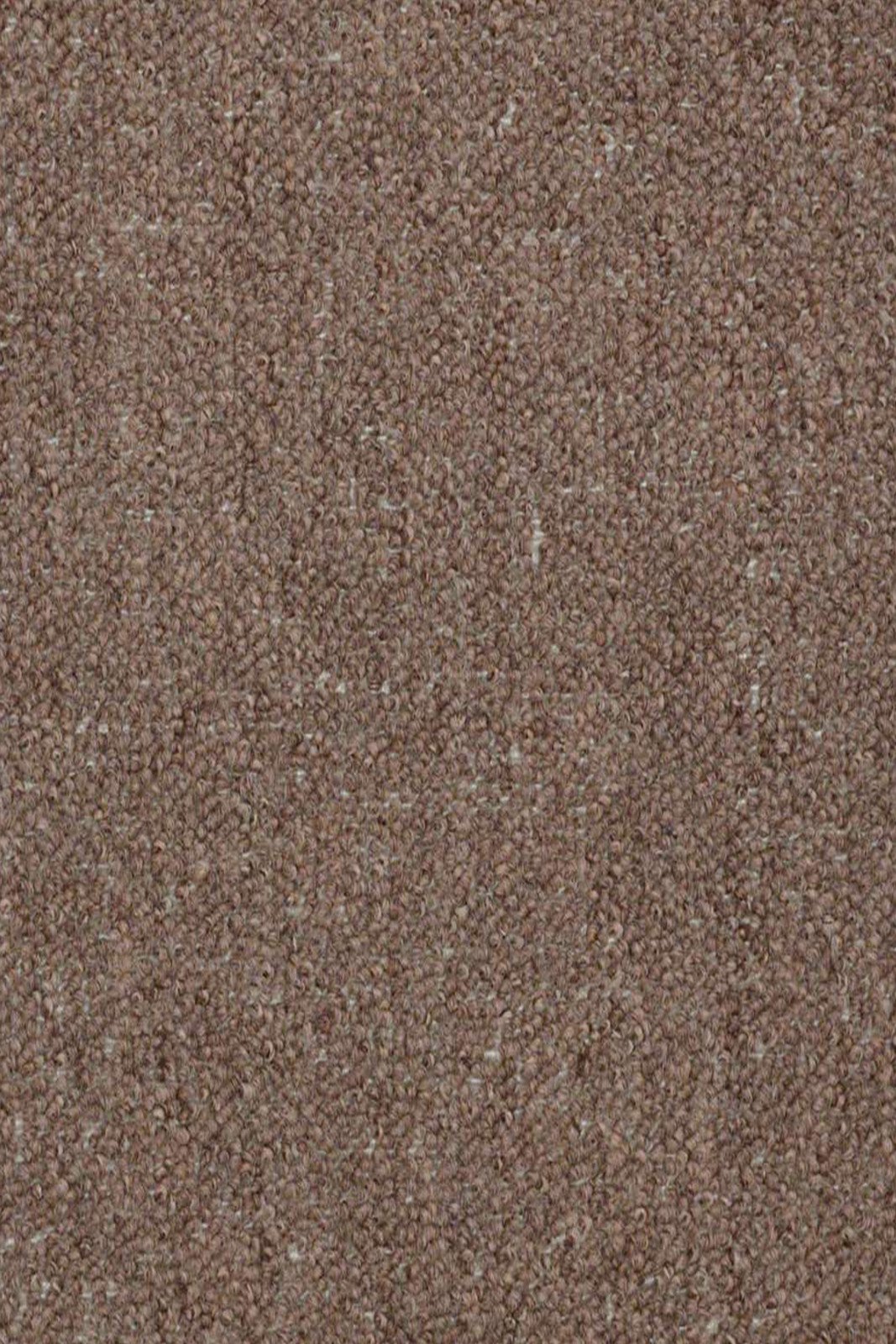 Home Queen Indoor Outdoor Commercial Brown Color Area Rug - 3'x5', (H ...