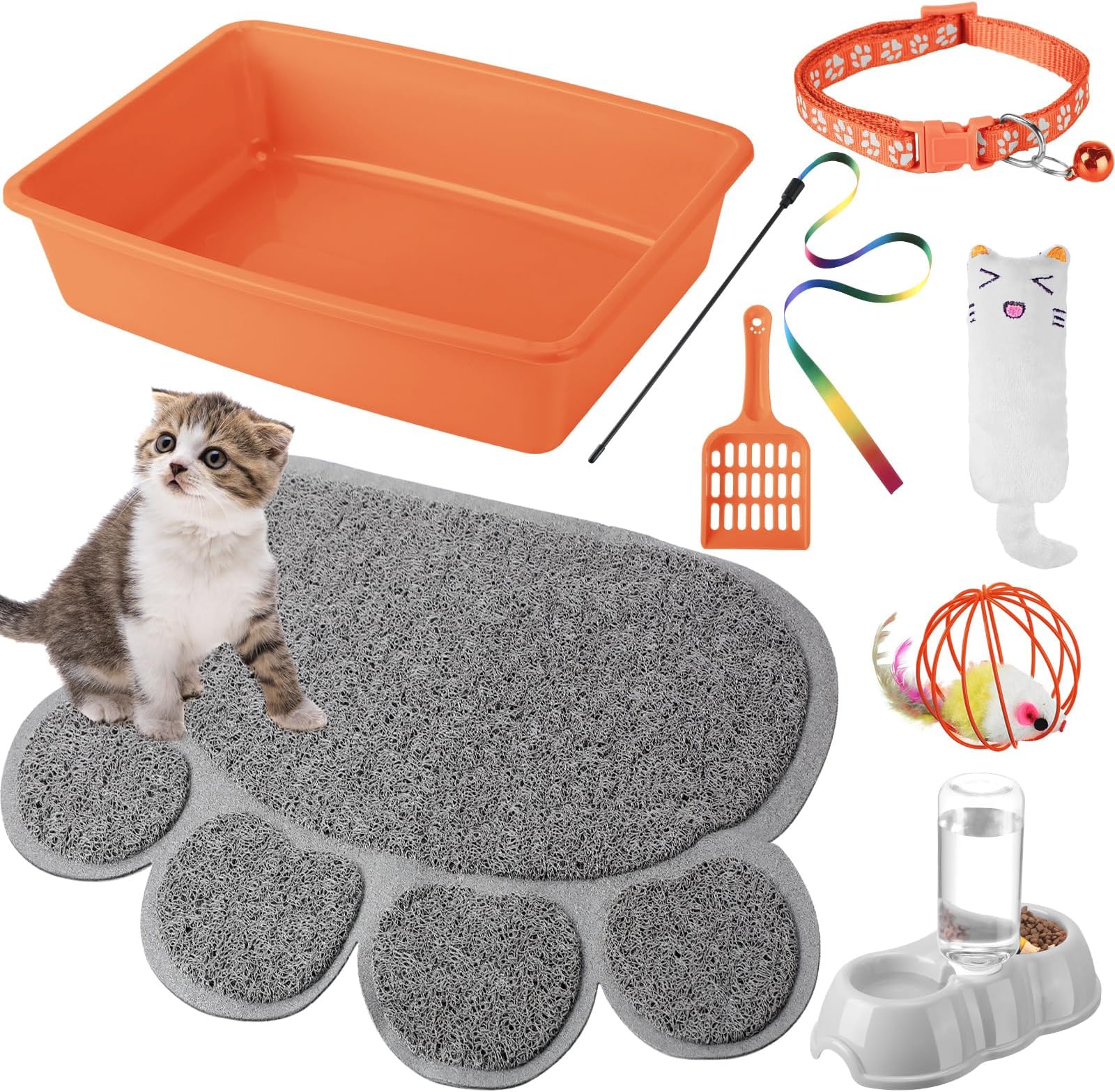 Amazon.com: 7 Pcs Small Cat Kitten Starter Kit Cat Litter Box with ...