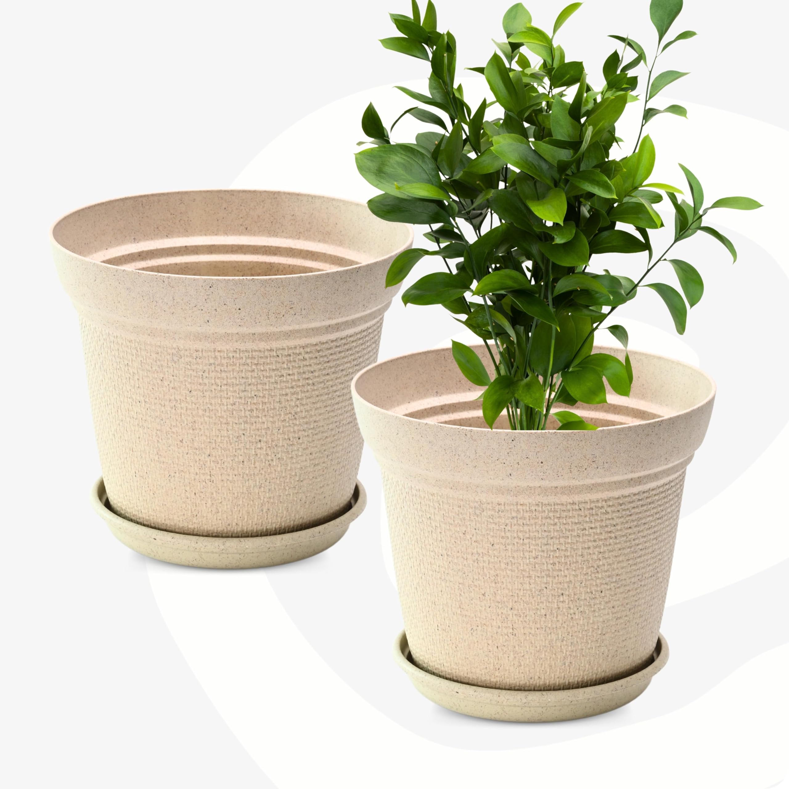 Eha Set of 2 Earth-Friendly Aura 8 Inch pots and Planters | Bamboo ...