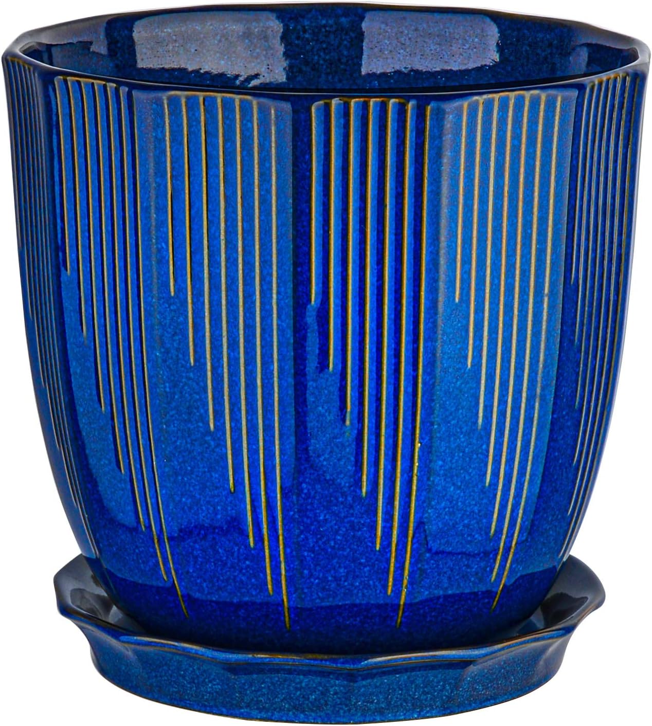 Amazon.com : Ymdewe Orchid Pot with Drainage Hole Large Round Orchid ...