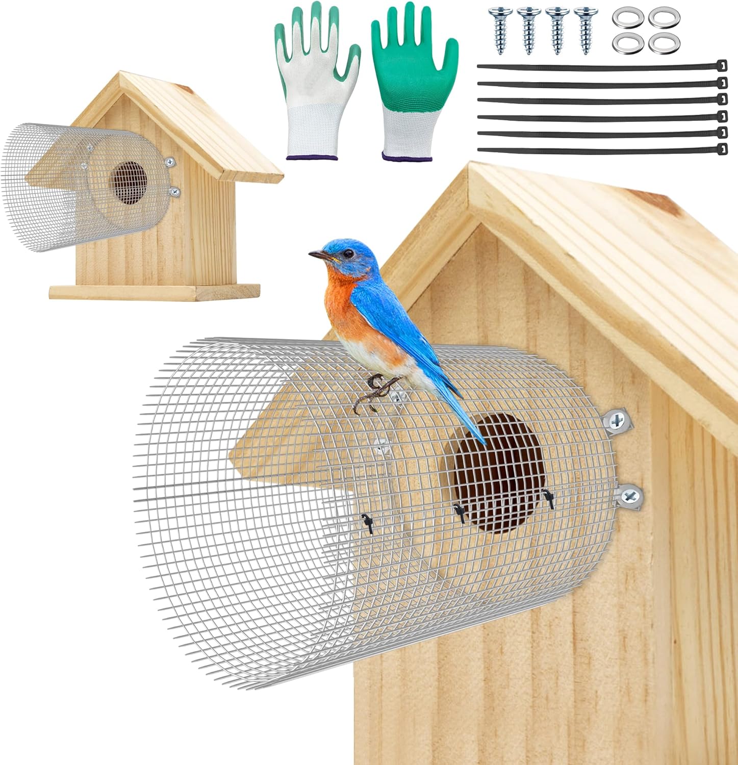 Amazon.com : 1 Pcs Bluebird House Predator Guards, Metal Bird House ...