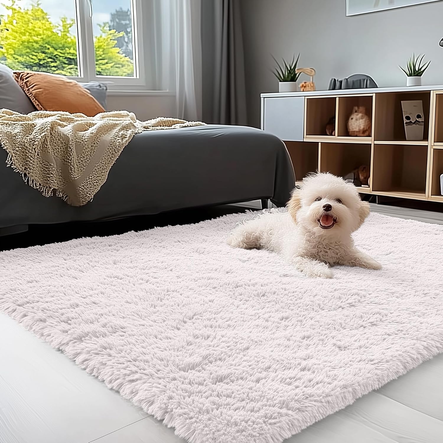 Amazon.com: OLANLY 3x5 Machine Washable Small Bedside Rug, Soft Fluffy ...