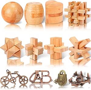 Amazon.com: Liliful 12 Pack Wooden Brain Puzzle Games for Boy Girl and ...