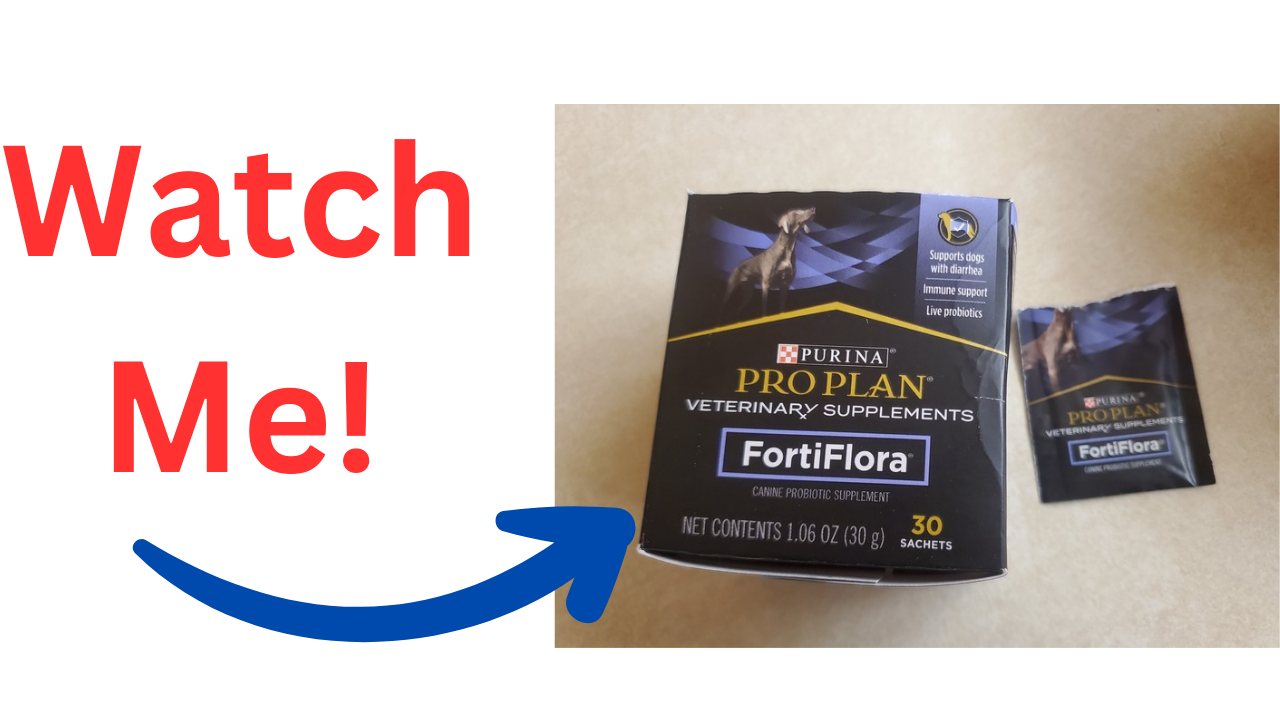 Watch Honest Review for Purina Pro Plan FortiFlora Dog Probiotic on ...