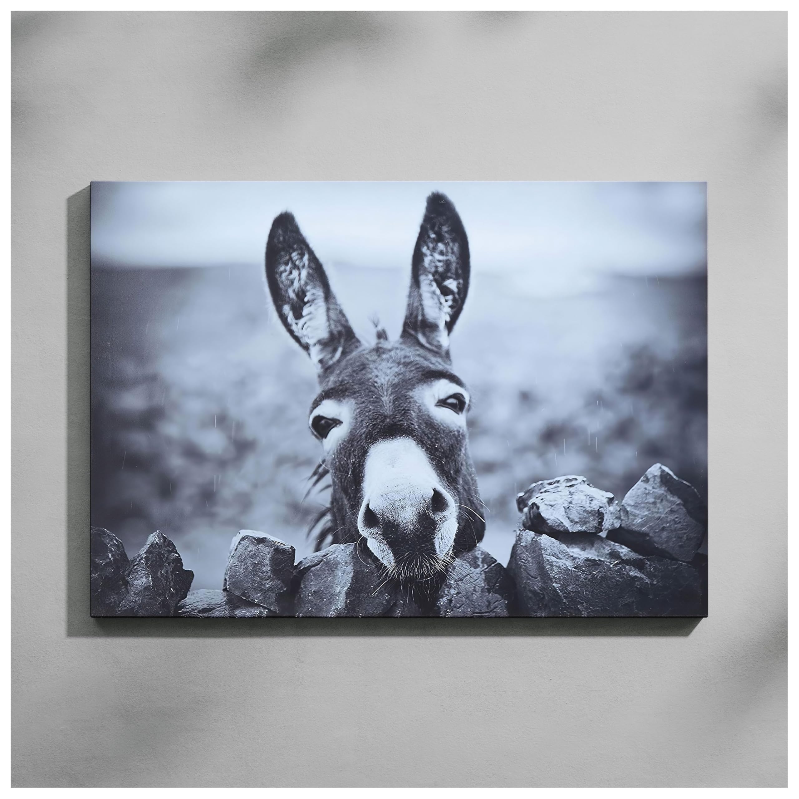 Amazon.com: HSFFBHFBH Funny Donkey Wall Art Black White Animal Print ...