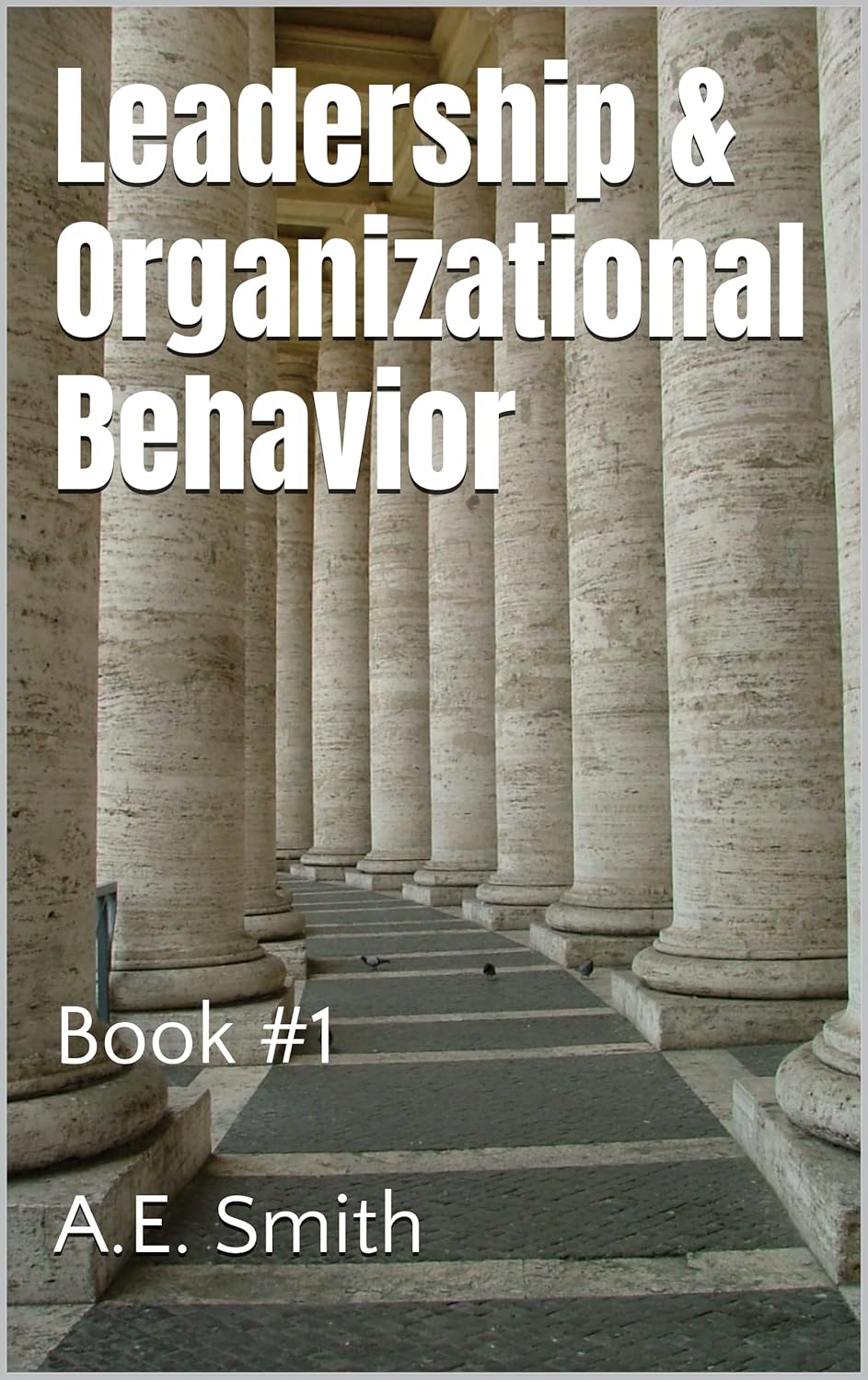 Amazon.com: Leadership & Organizational Behavior: Book #1 (MBA Insights ...