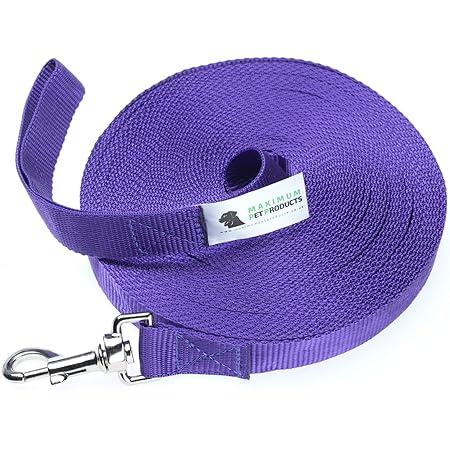 Maximum Pet Products 50ft Blue Dog Training Lead : Amazon.co.uk: Pet ...