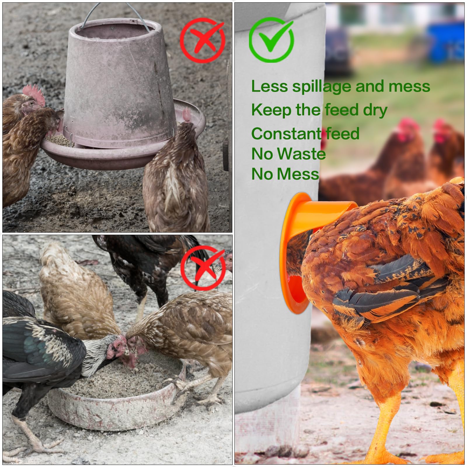 Snapklik.com : DIY Automatic Chicken Feeders And Waterer Set No ...
