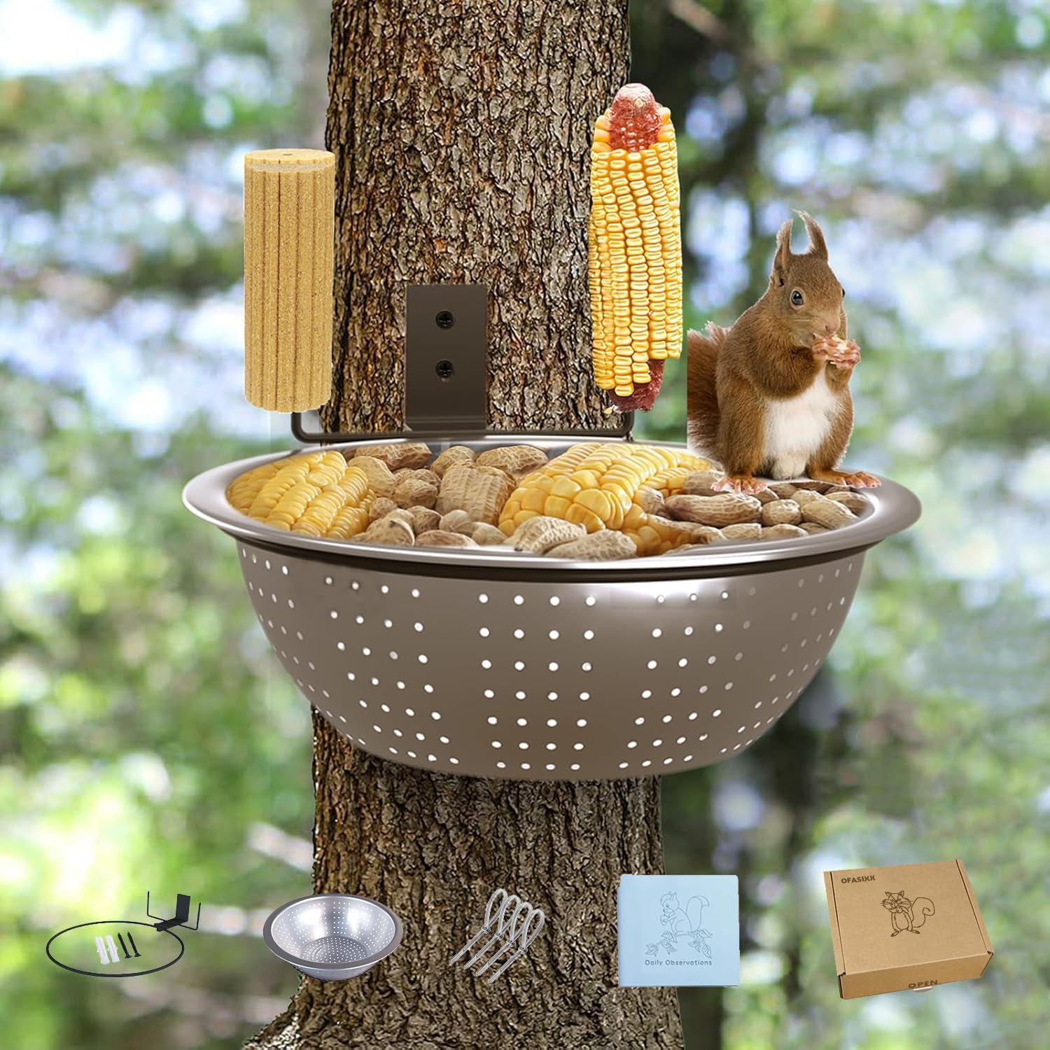 Amazon.com: Ofasixx Squirrel Feeders for Outside-Squirrel Feeder with ...