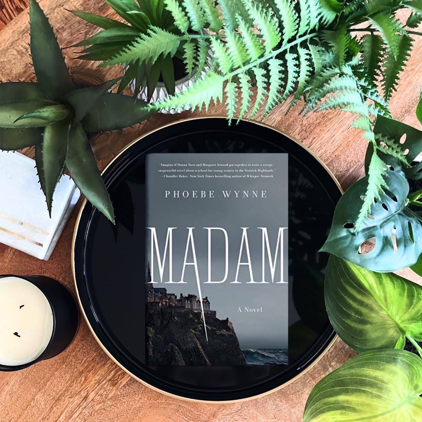 Madam: The most chilling and darkly feminist book group novel you'll ...