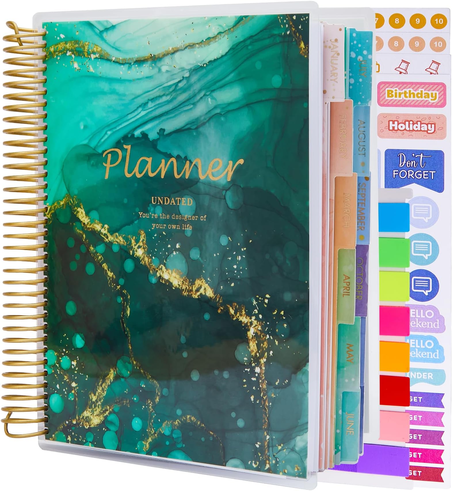 Amazon.com : Large Undated Planner, 8.9”x7.1”, PET Cover Daily Weekly ...