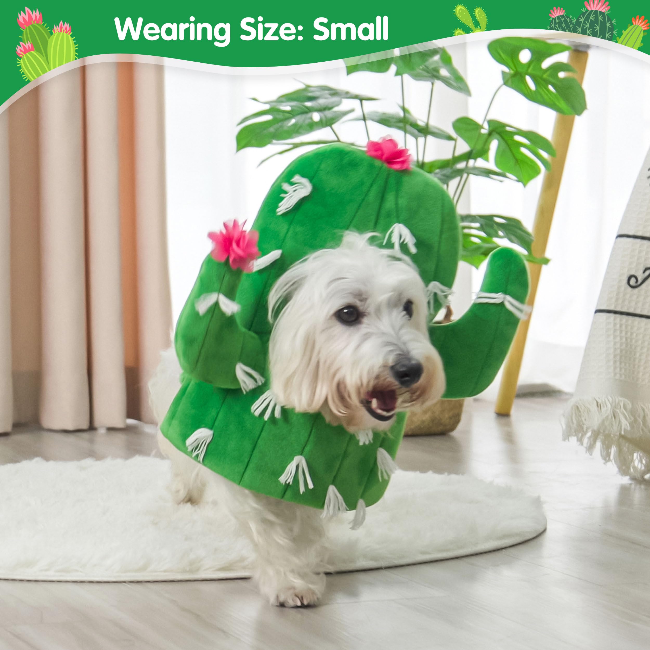 Faceplant Dog Memes Amazon.com : Cyeollo Dog Costume Funny Cactus Dog