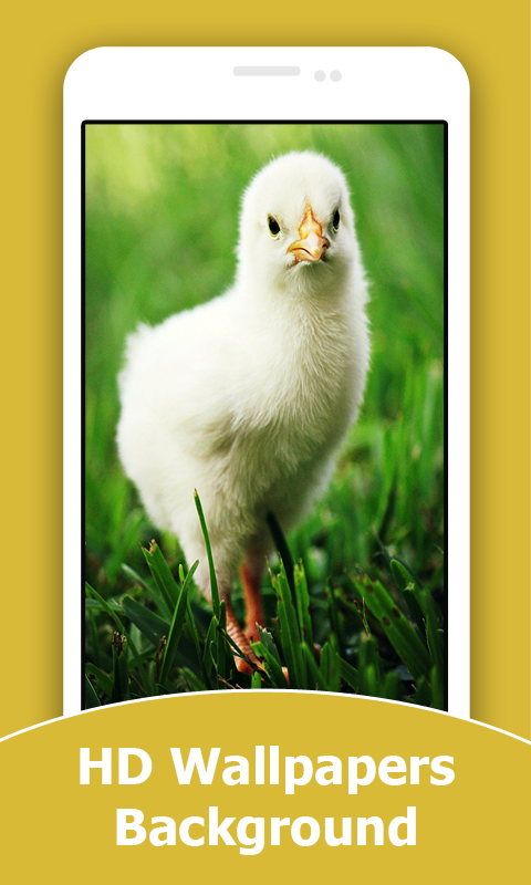 Chick HD Wallpapers:Amazon.com:Appstore for Android