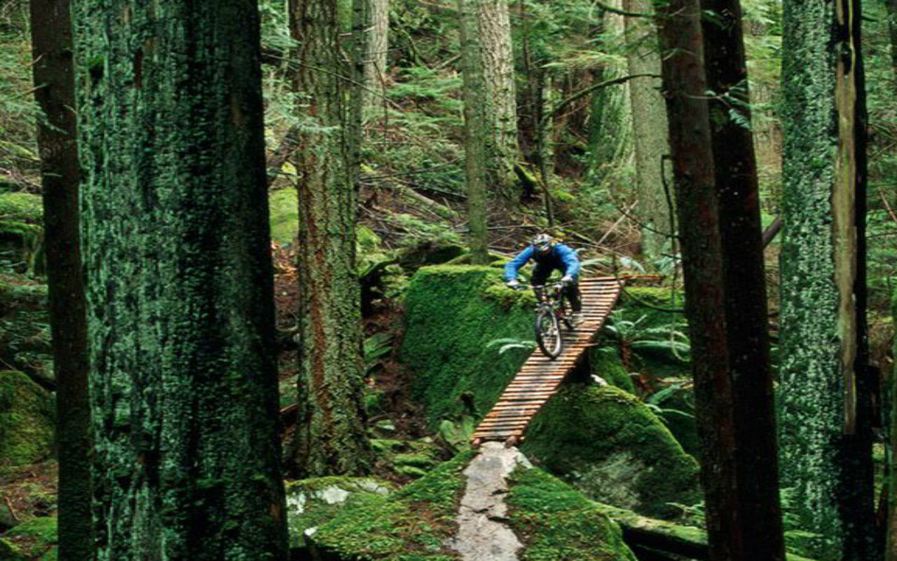 Off Road BMX - App on the Amazon Appstore