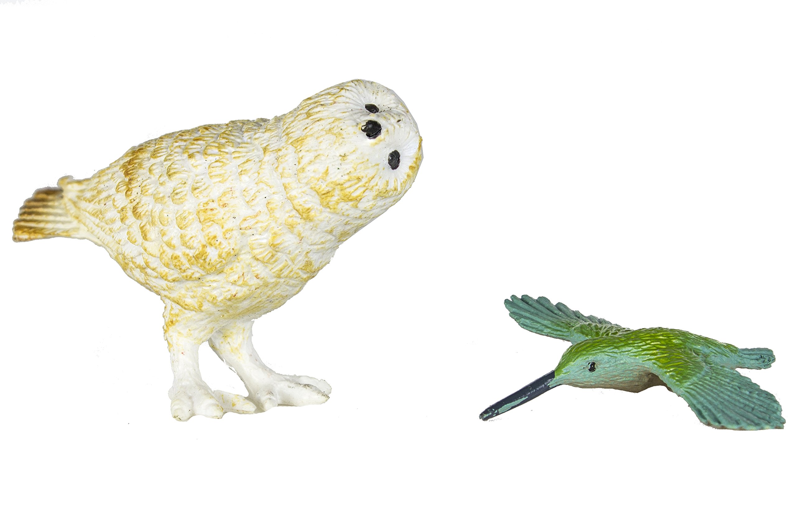 Safari Ltd Exotic Birds TOOB - 11 Different Hand Paint...B000GZED7K ...