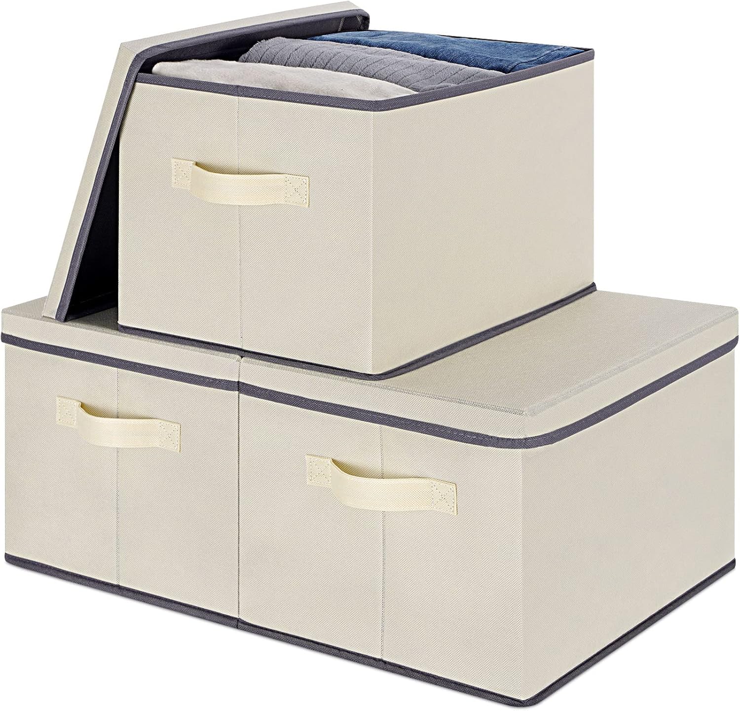 ASXSONN Contenedores de almacenamiento de 20 litros con tapas, canastas ...