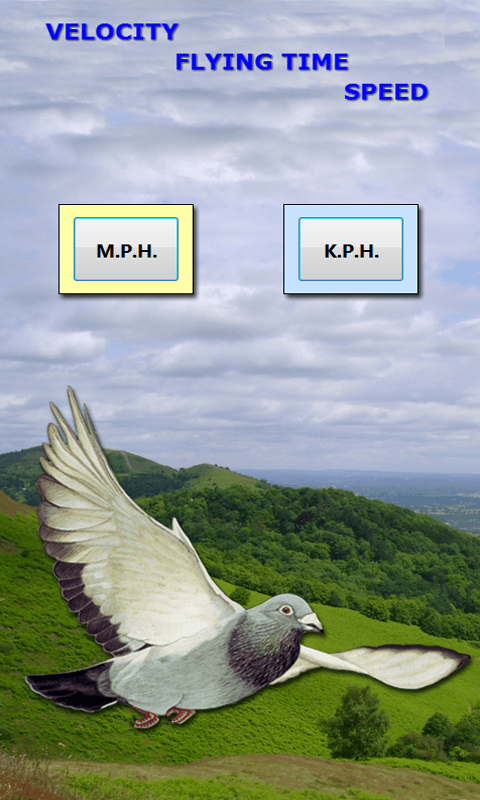 Racing Pigeon Speed - App on the Amazon Appstore
