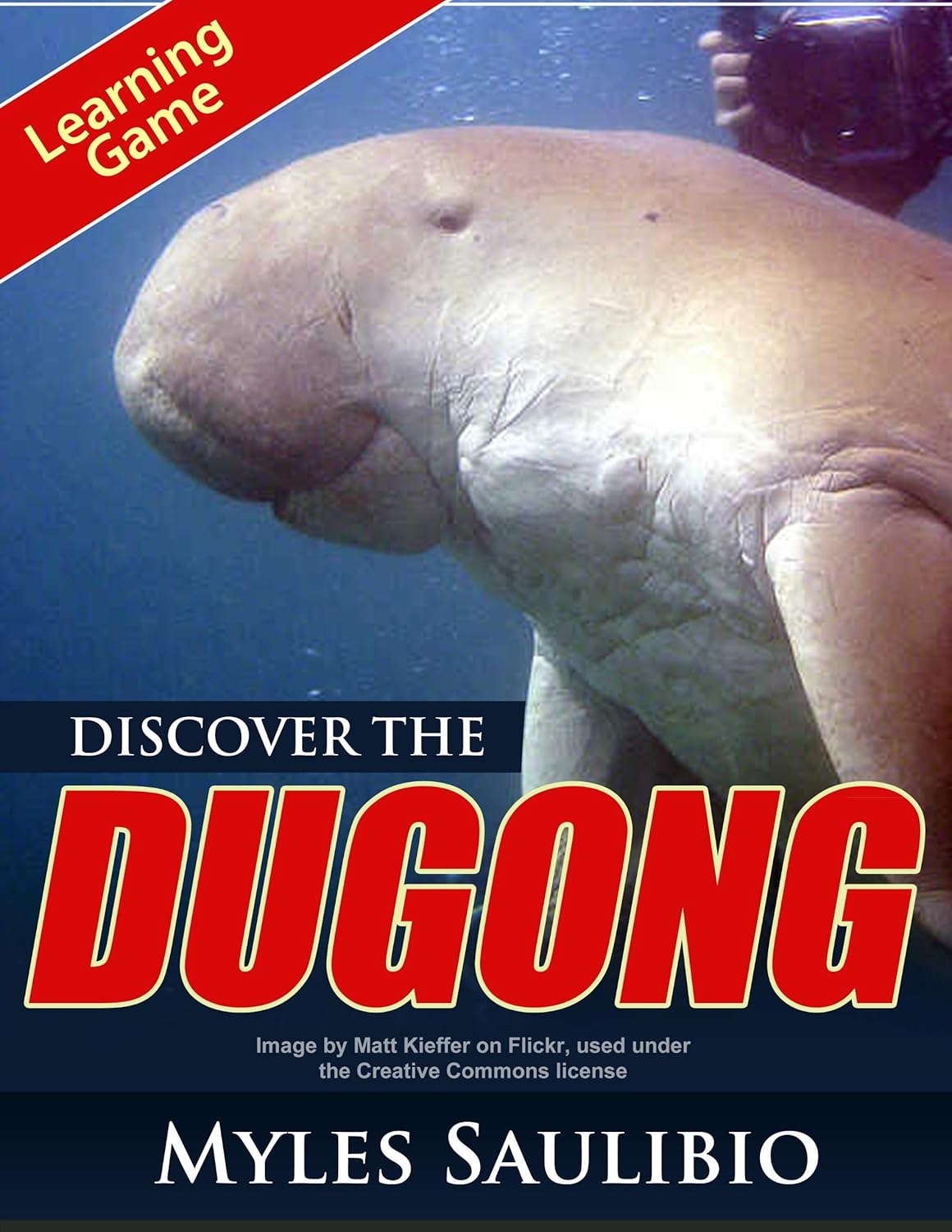 Learning Game: Discover the Dugong Cool Game Quiz Booklet eBook ...