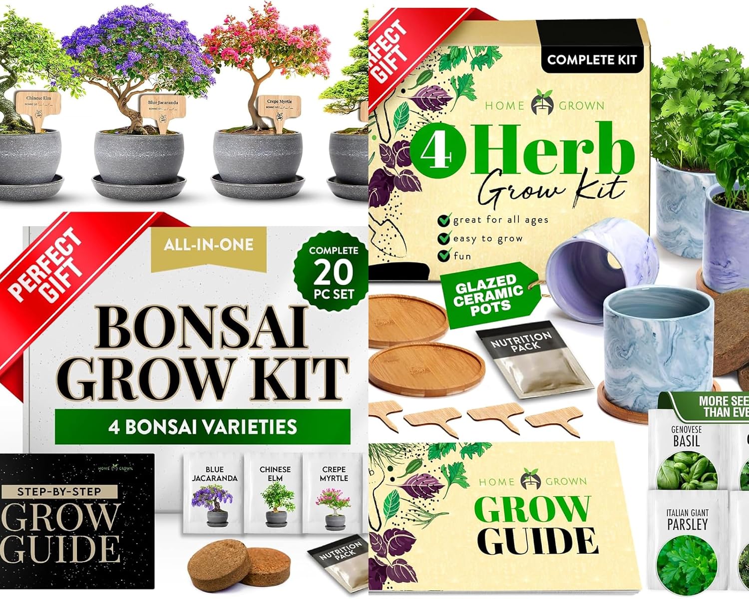 Amazon.com: HOME GROWN Bonsai Tree Kit - HOME GROWN Indoor Herb Garden ...