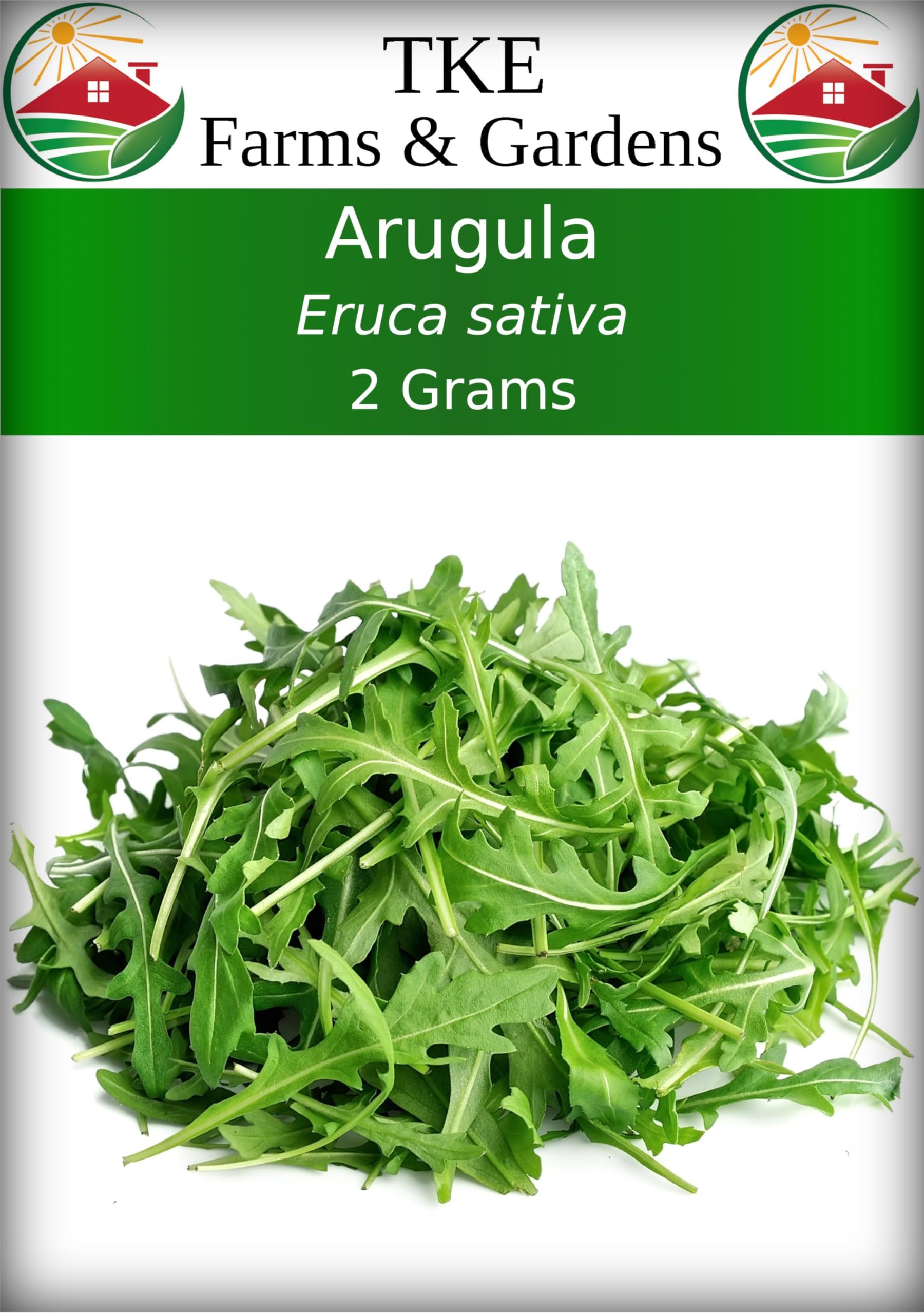 Amazon.com : Arugula Seeds - 1000 Seeds Non-GMO : Patio, Lawn & Garden