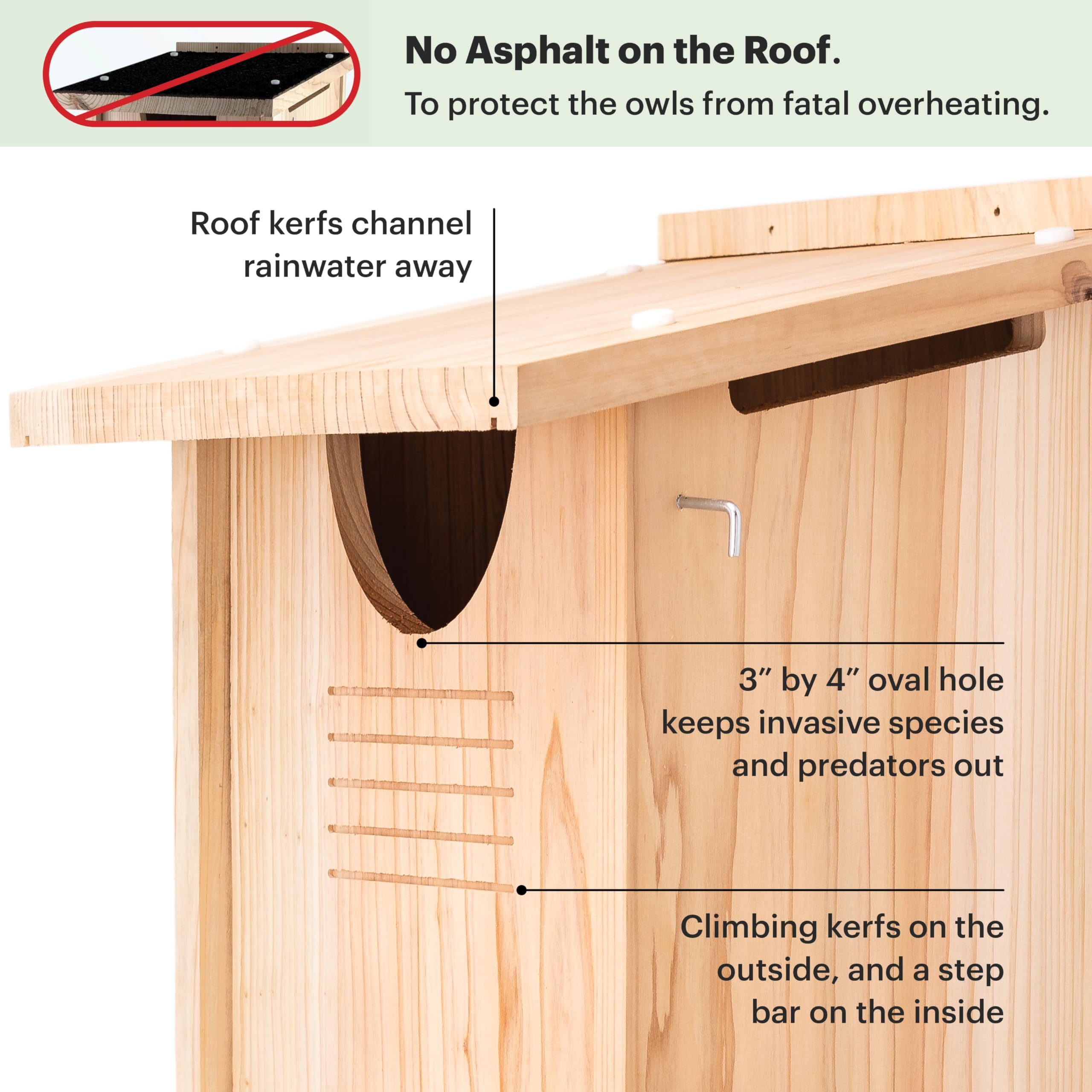 Snapklik.com : WHITEHORSE Large Cedar Owl House - Premium And ...