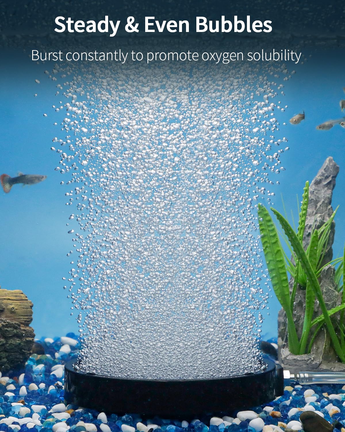 Snapklik.com : Aquarium Air Stone Disc For Air Pump 5 Inch Fish Tank ...