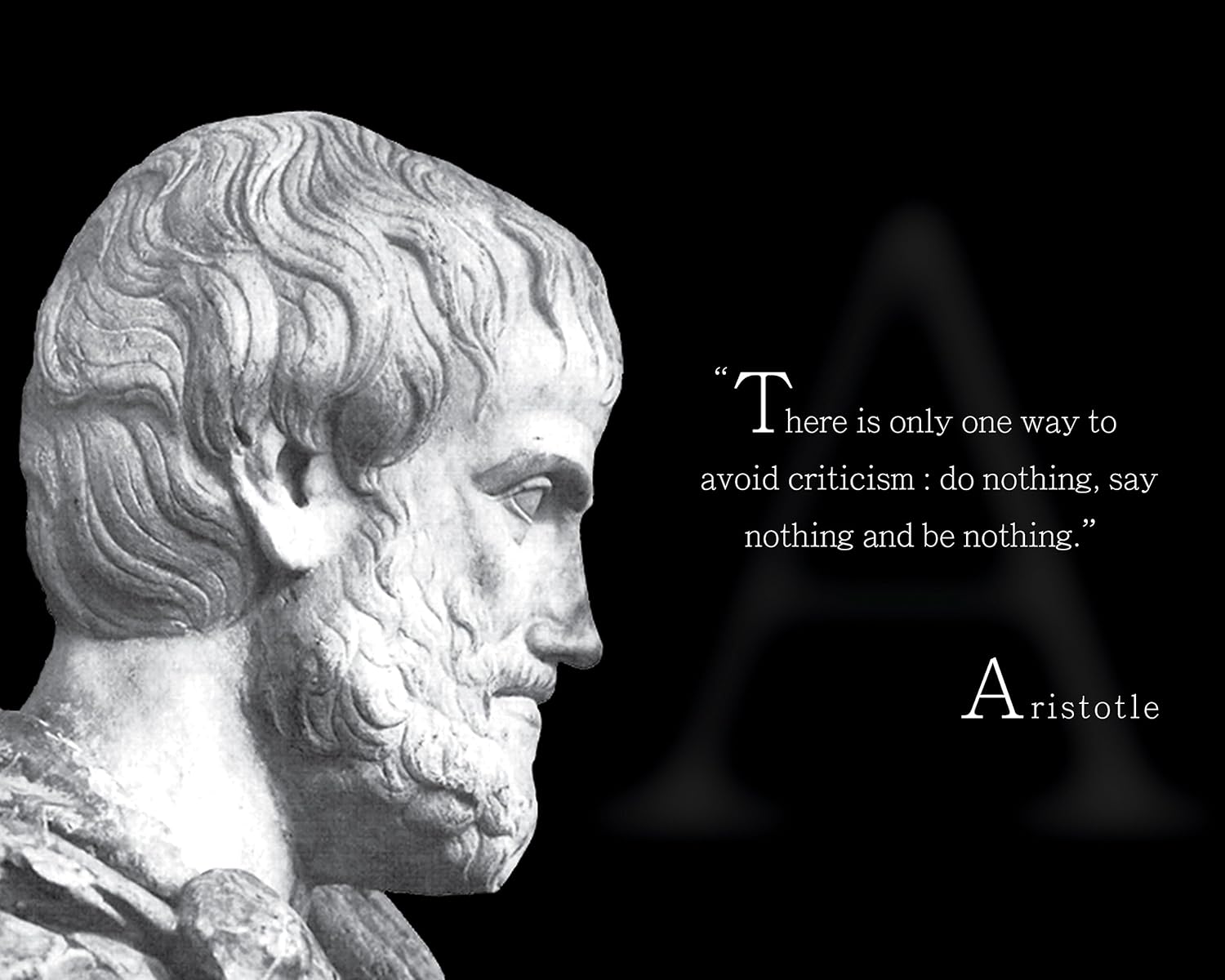 Amazon.com: Aristotle Inspirational Quote - There is only one way to ...