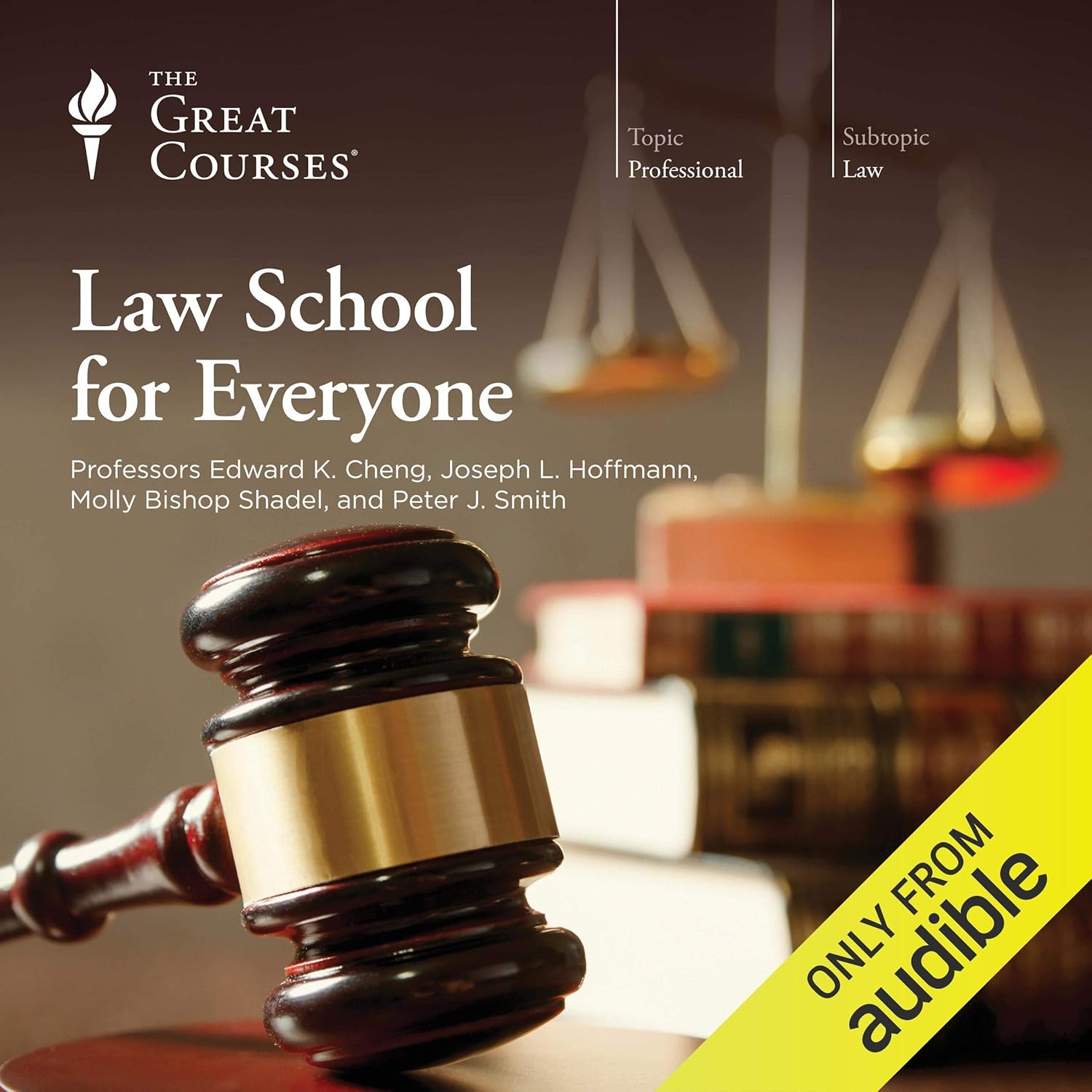 Law School for Everyone (Audio Download): The Great Courses, Edward K ...