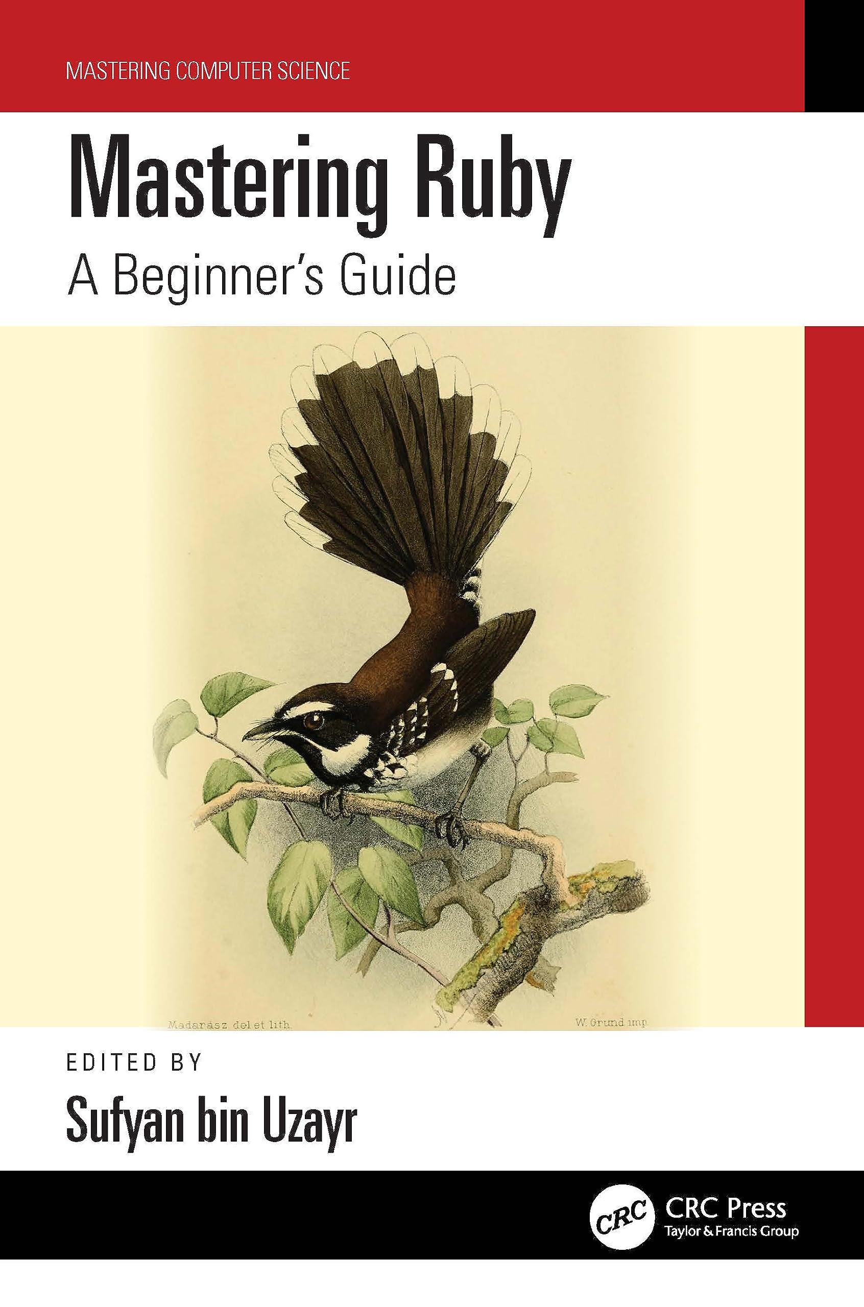 Mastering Ruby: A Beginner's Guide (Mastering Computer Science): bin Uzayr, Sufyan ...