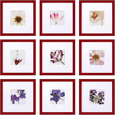 Amazon.com - 6 Floating Picture Frame Set Double Acrylic Collage ...