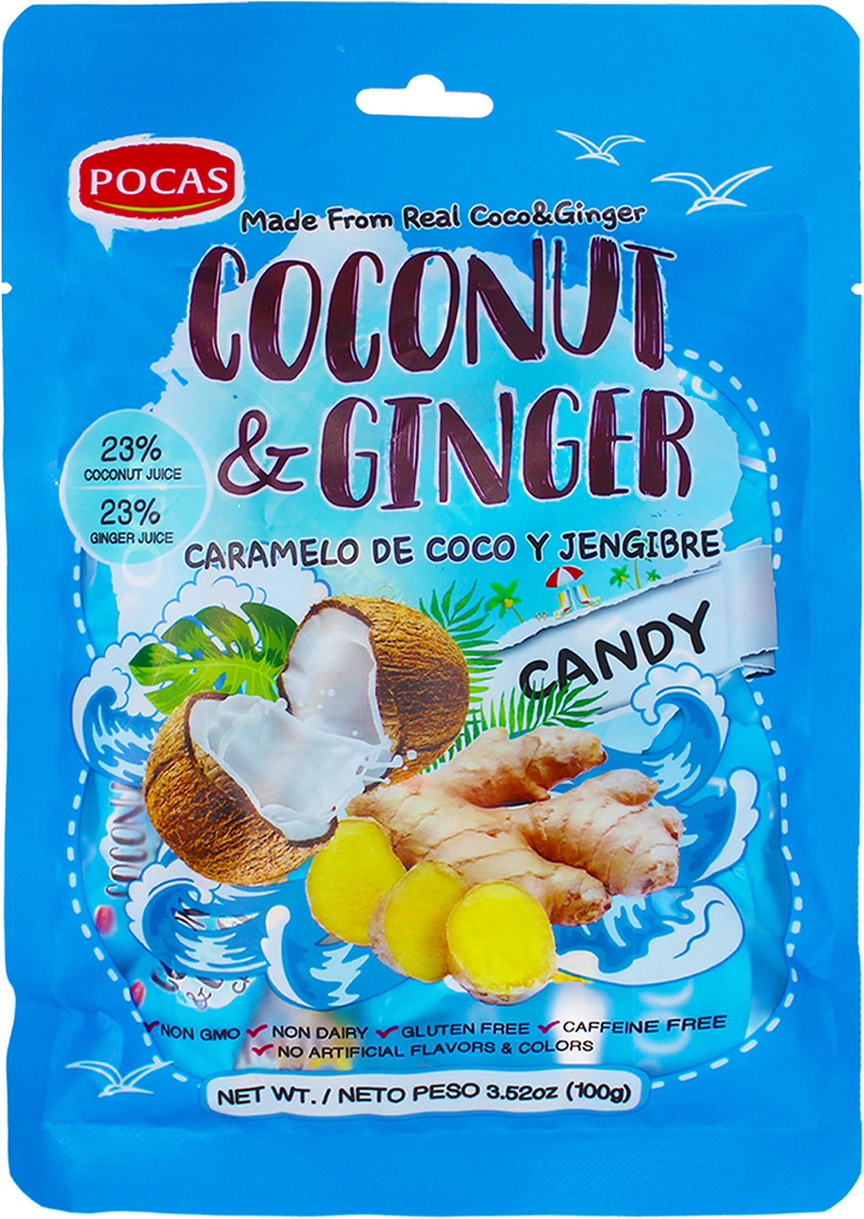 Amazon.com : Pocas Hard Candy, Coconut & Ginger, 100 Gram (Pack of 2 ...