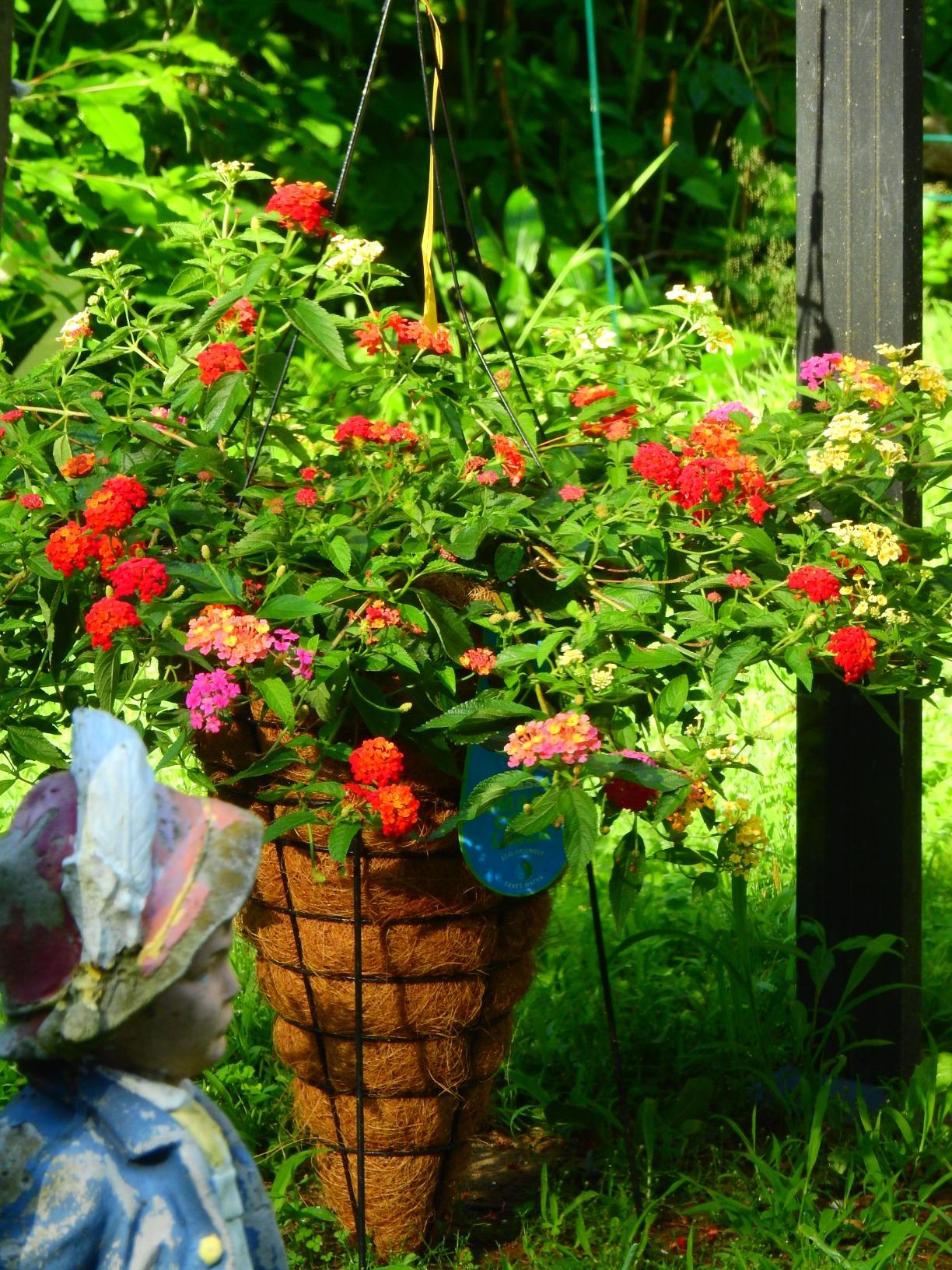 The Proven Winners Garden Book: Simple Plans, Picture-Perfect Plants ...