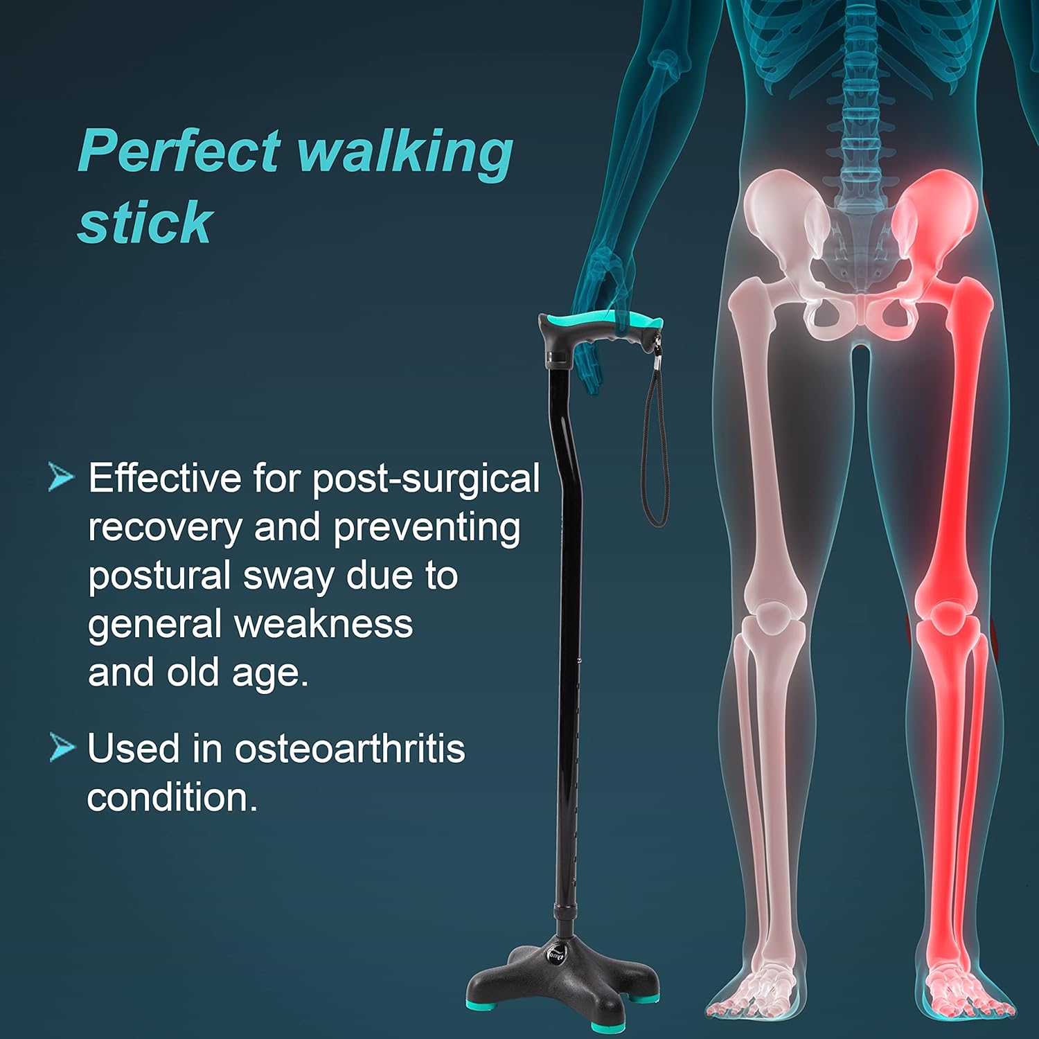 Tynor L-36 Walking Stick Quadra Price in Bangladesh - ShopZ BD