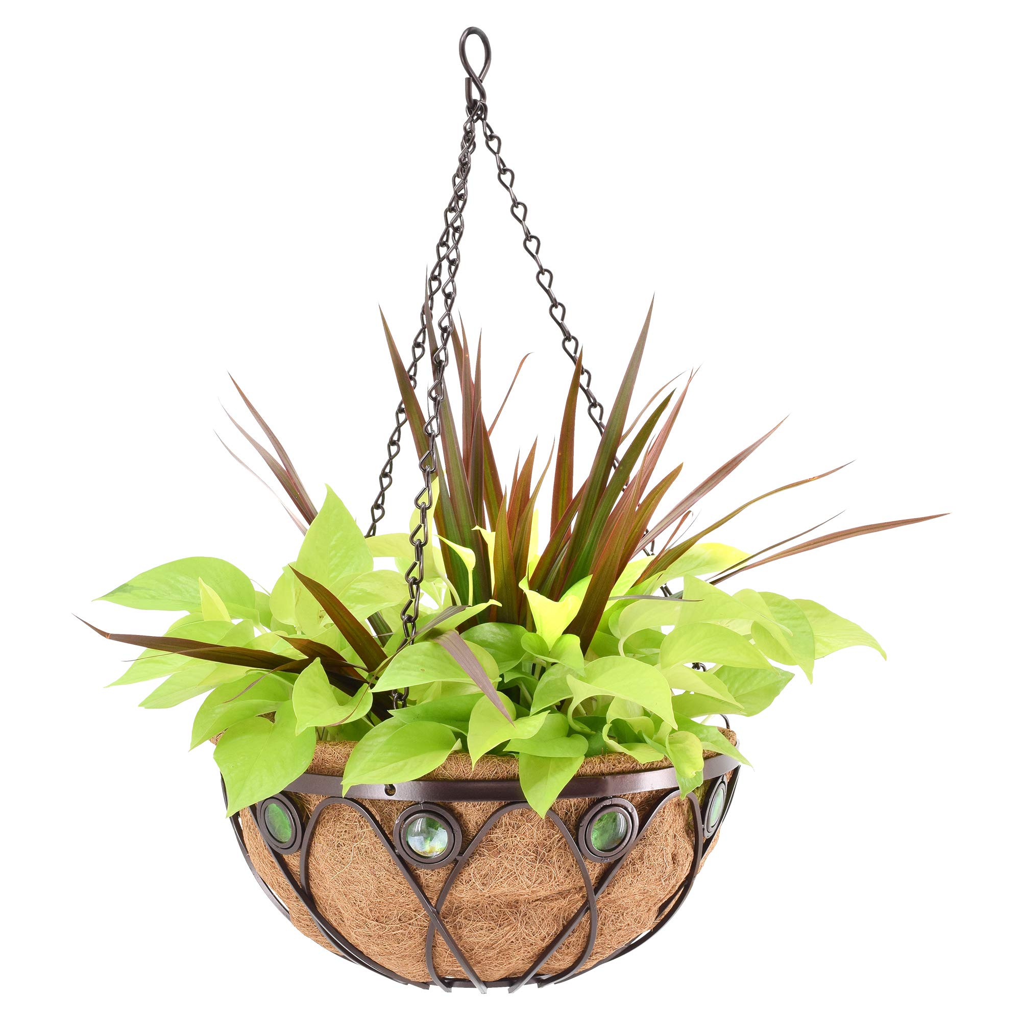 Arcadia Emerald Series Round Hanging Basket Planters, 14-Inch Round ...