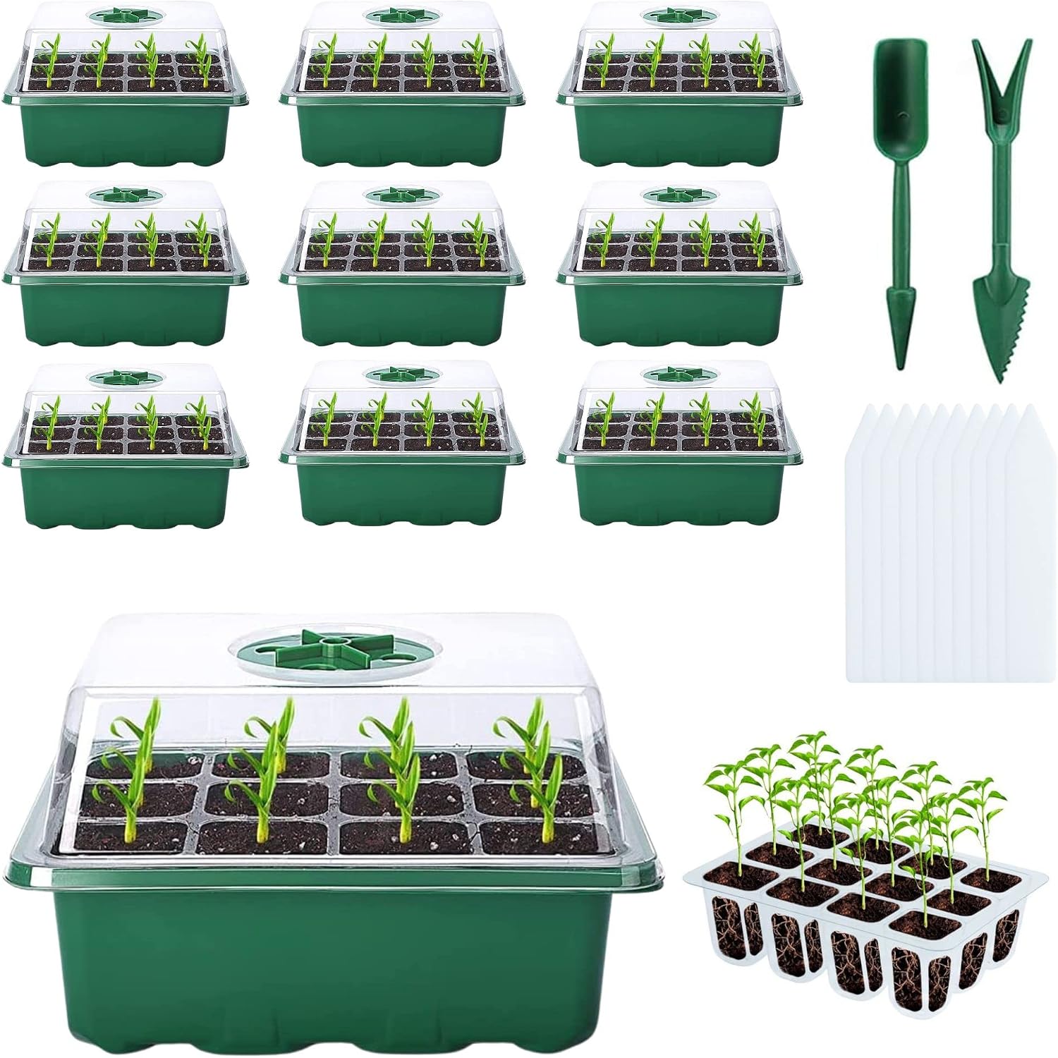Amazon.com : MTREE Seed Starter Tray ( 10 Pack ) - Sprouting Greenhouse ...